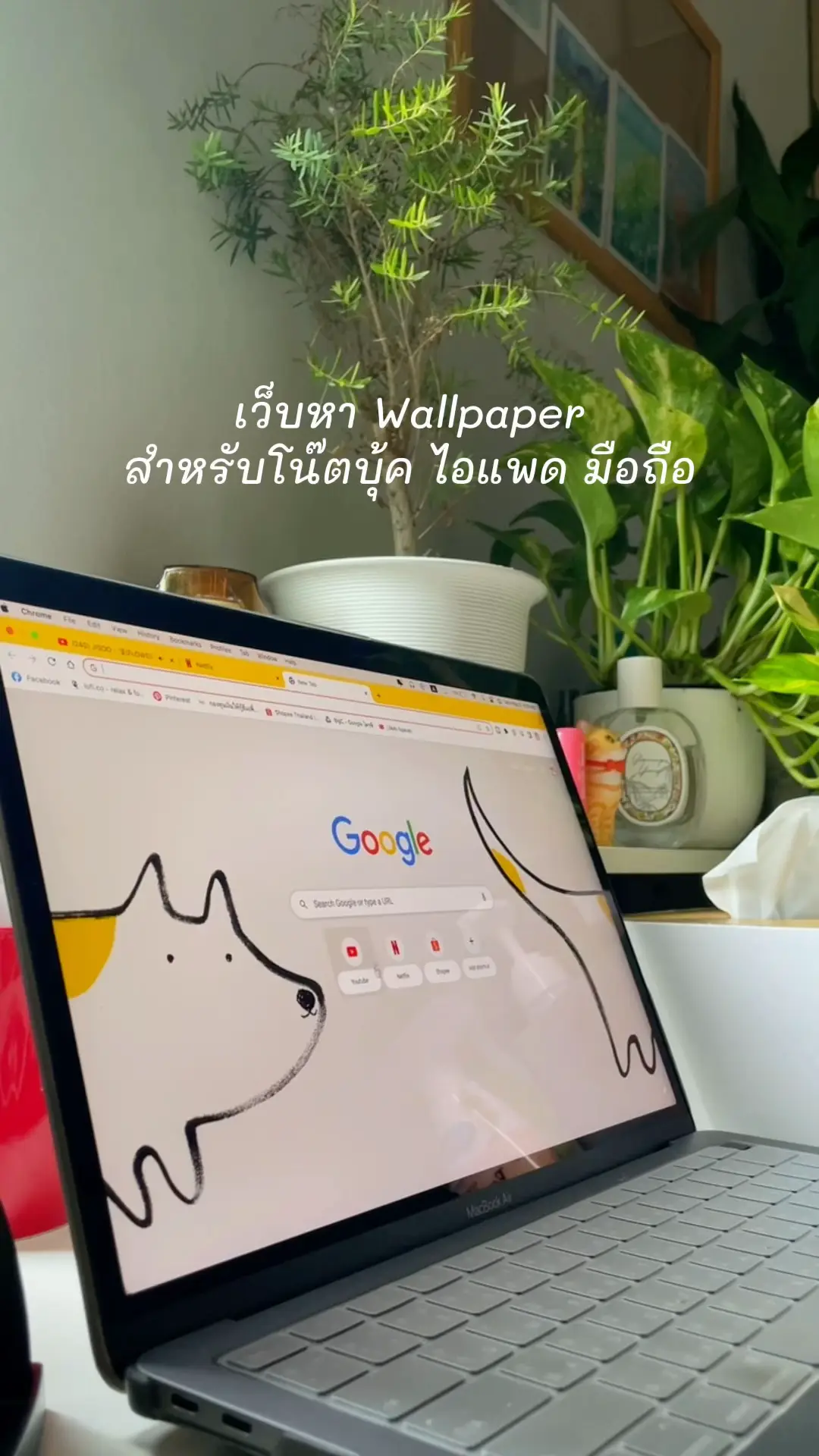 วิธีใช้ wallpaper grafolio | 2024 ประสบการณ์ผู้ใช้จริงบน Lemon8