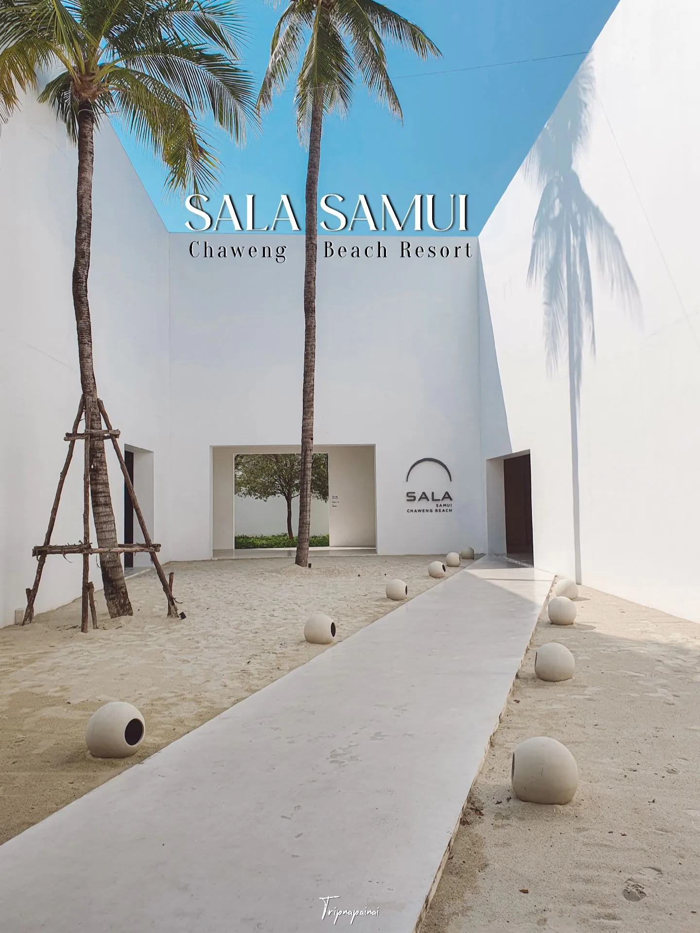 SALA Samui โรงแรมสุดมินิมอล มุมถ่ายรูปเป็นล้าน! | แกลเลอรีที่โพสต์โดย ...