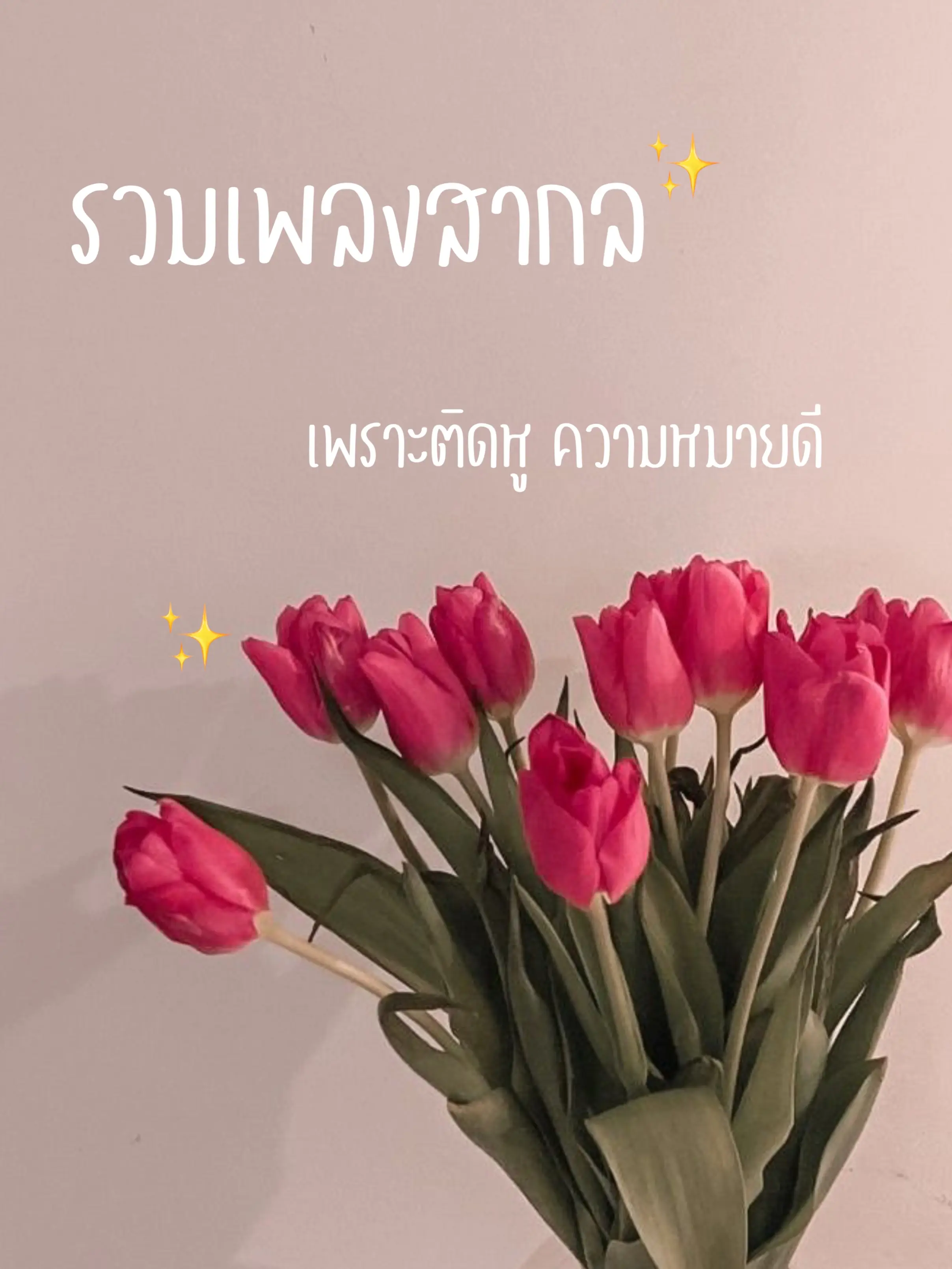 รวมเพลงสากล เพราะติดหู ความหมายดี💖 | แกลเลอรีที่โพสต์โดย piploy | Lemon8