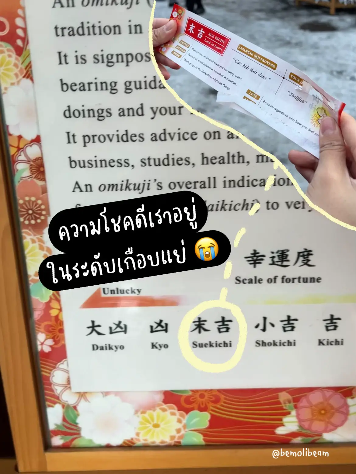 แผ่นประคบร้อน ญี่ปุ่น - การค้นหาใน Lemon8