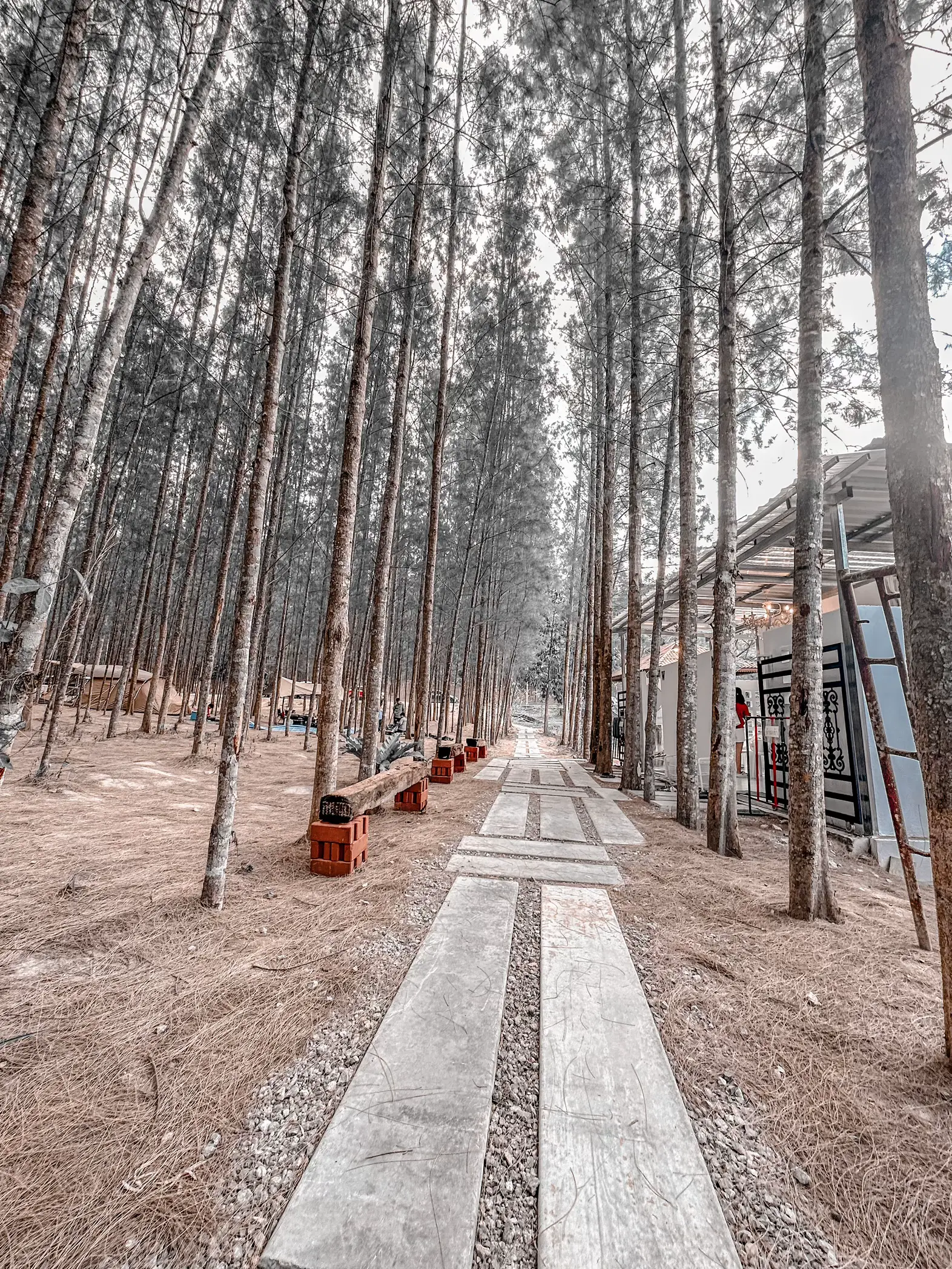 🏕️ Phupha Coffee Camp Phuis Coffee Camp Ka Ratchaburi | Gallery posted by รีวิวบลาบลาบลา | Lemon8