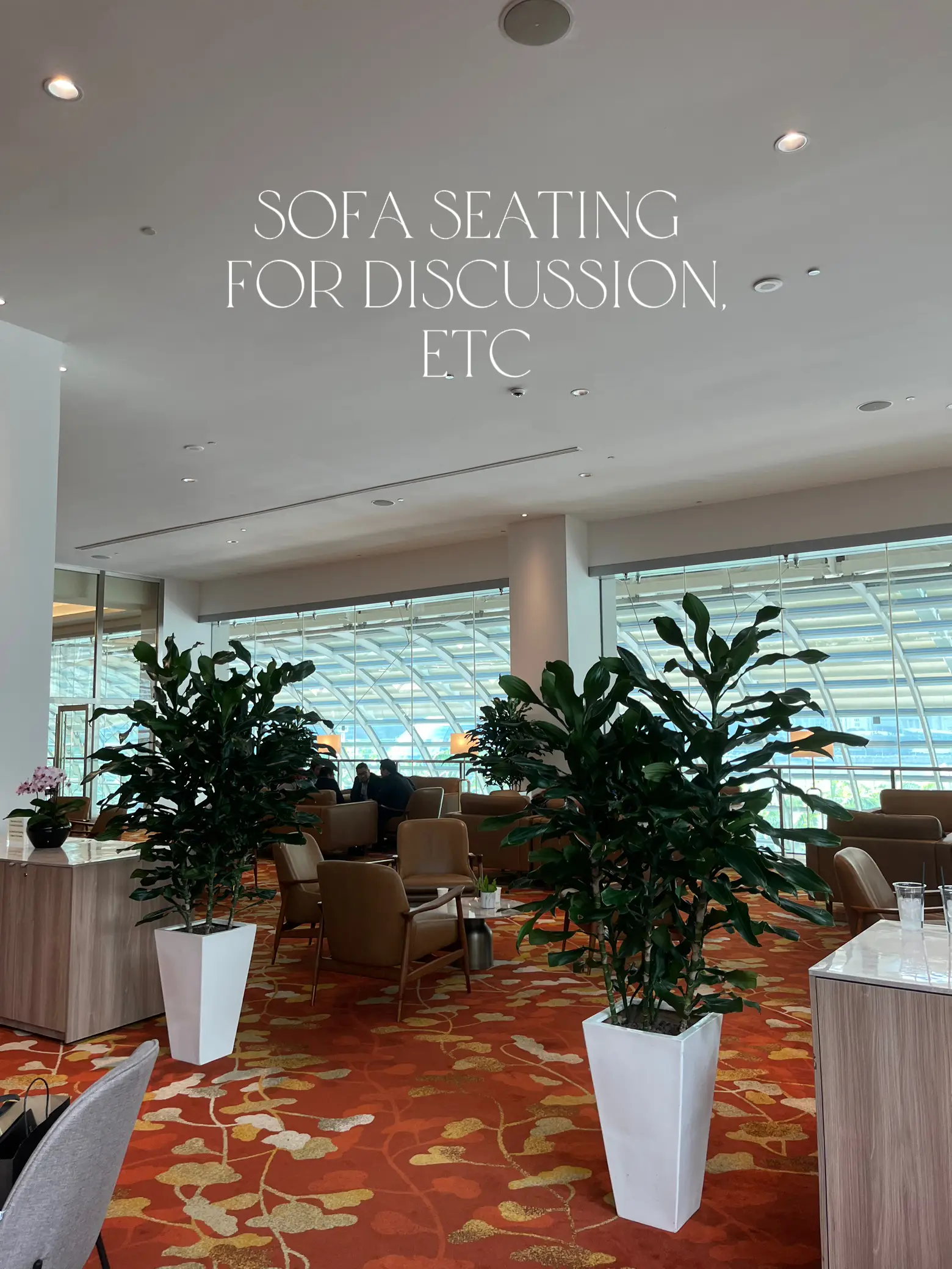 another gorgeous study spot you need to know abt 😍 | Gallery posted by Caitlin | Lemon8