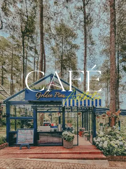 Cafe cantik di tengah hutan pinus | Video dipublikasikan oleh iBunz ...