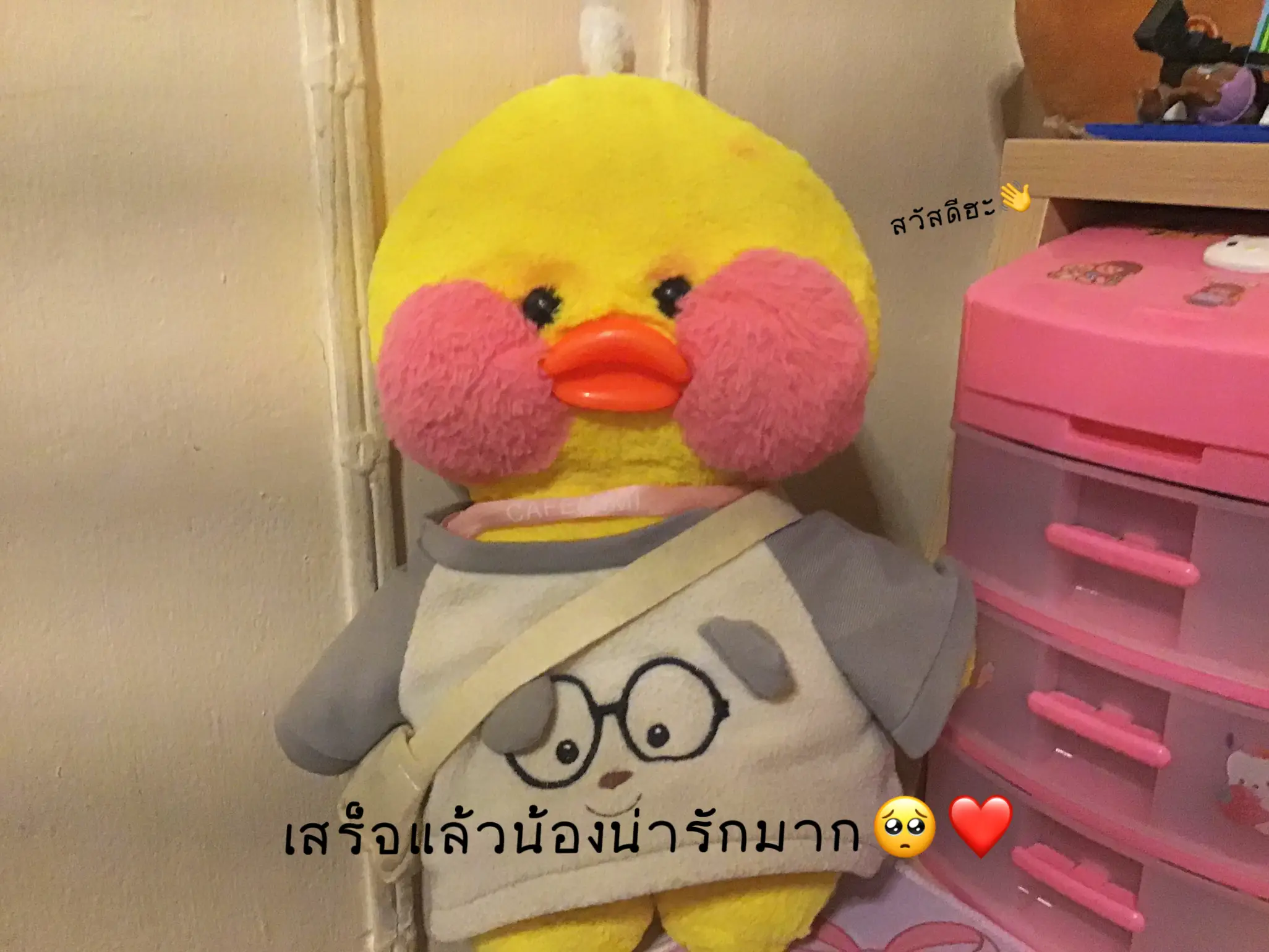 #น้องเป็ดแก้มแดง #คริบแรก สวัส | แกลเลอรีที่โพสต์โดย Thunchanok🐰🥕 | Lemon8