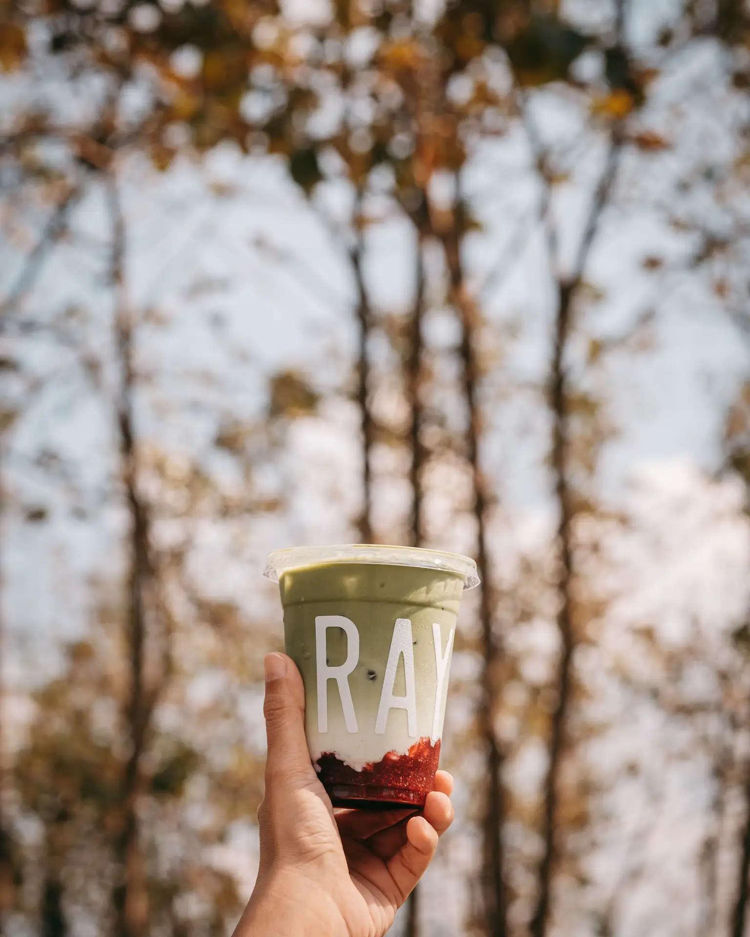 RAYY คาเฟ่สวยในไร่องุ่น Vin de ray เปิดใหม่มวกเหล็ก สระบุรี | แกลเลอรี ...