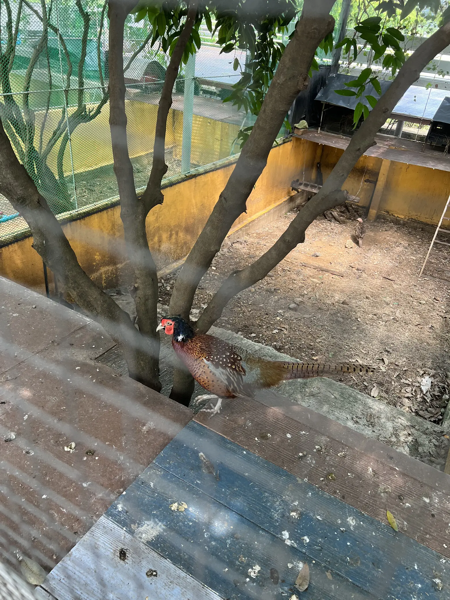 ปล่อยใจ ใกล้ชิดธรรมชาติ 🌿🐇 Hill & Creek สระบุรี | แกลเลอรีที่โพสต์โดย titlemeta | Lemon8