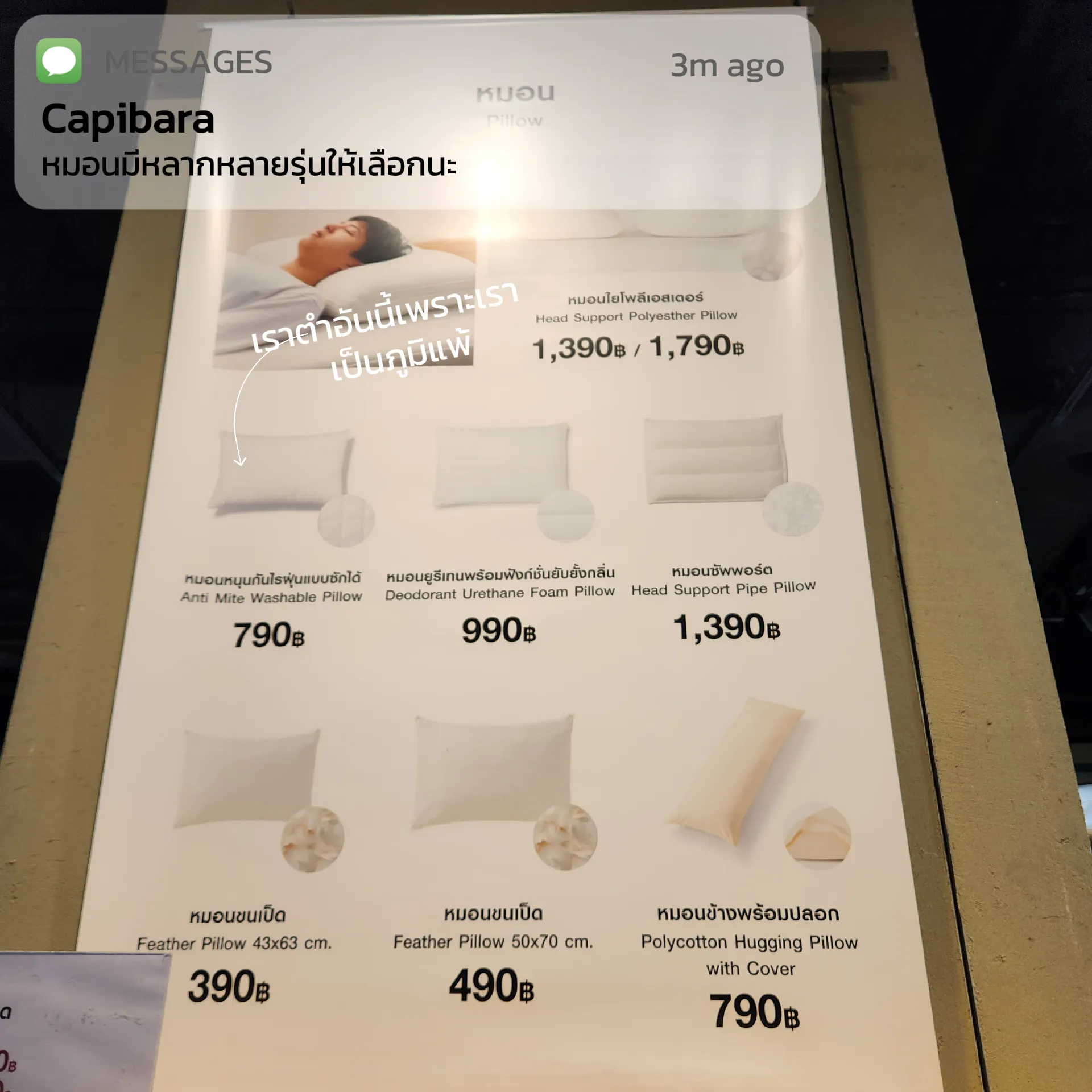 หมอนมูจื | แกลเลอรีที่โพสต์โดย Yuu ka-Top | Lemon8