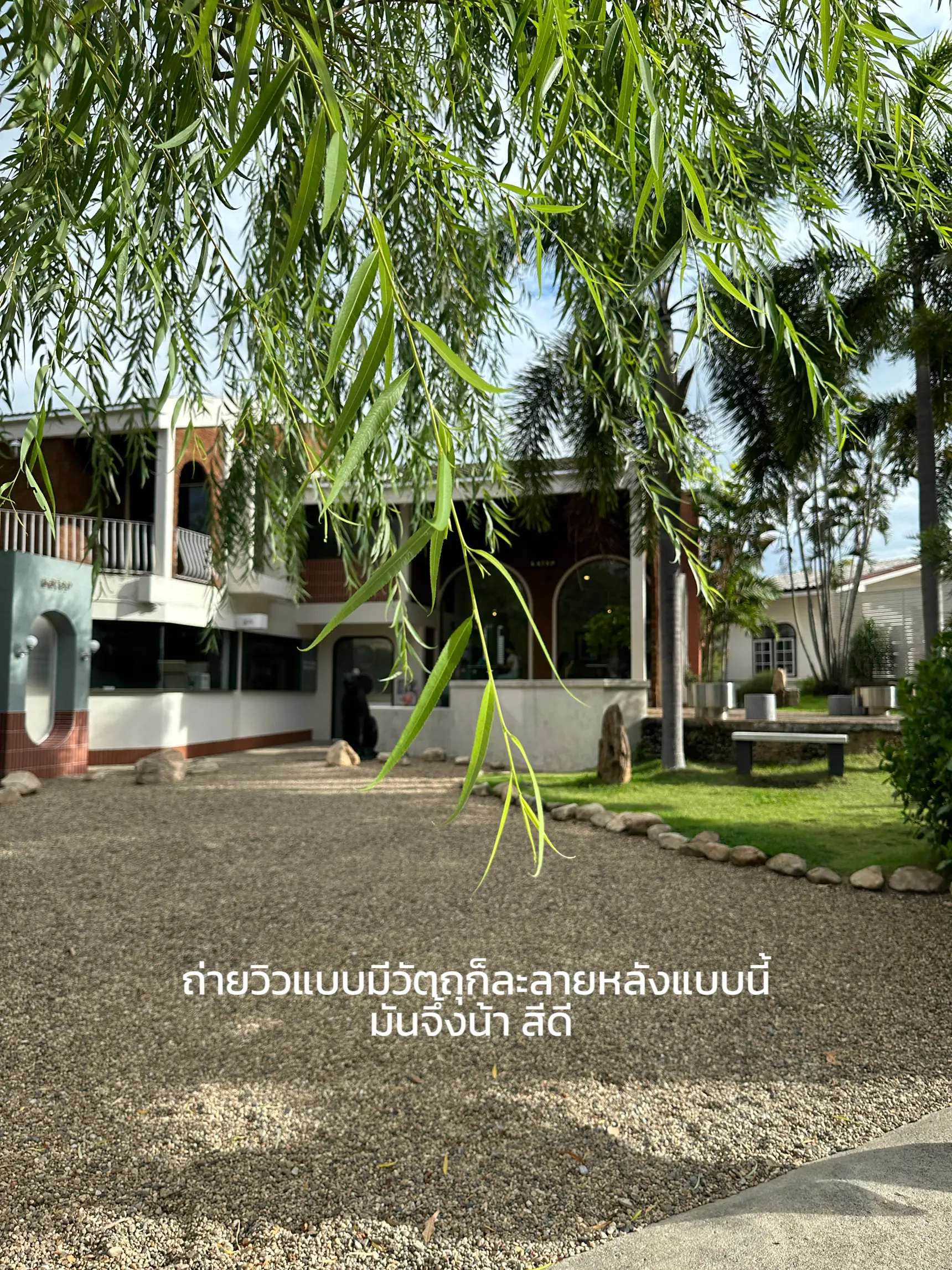 รีวิวกล้อง ip14 pm แบบฉบับคนชอบถ่ายรูป 🍋 | แกลเลอรีที่โพสต์โดย ...