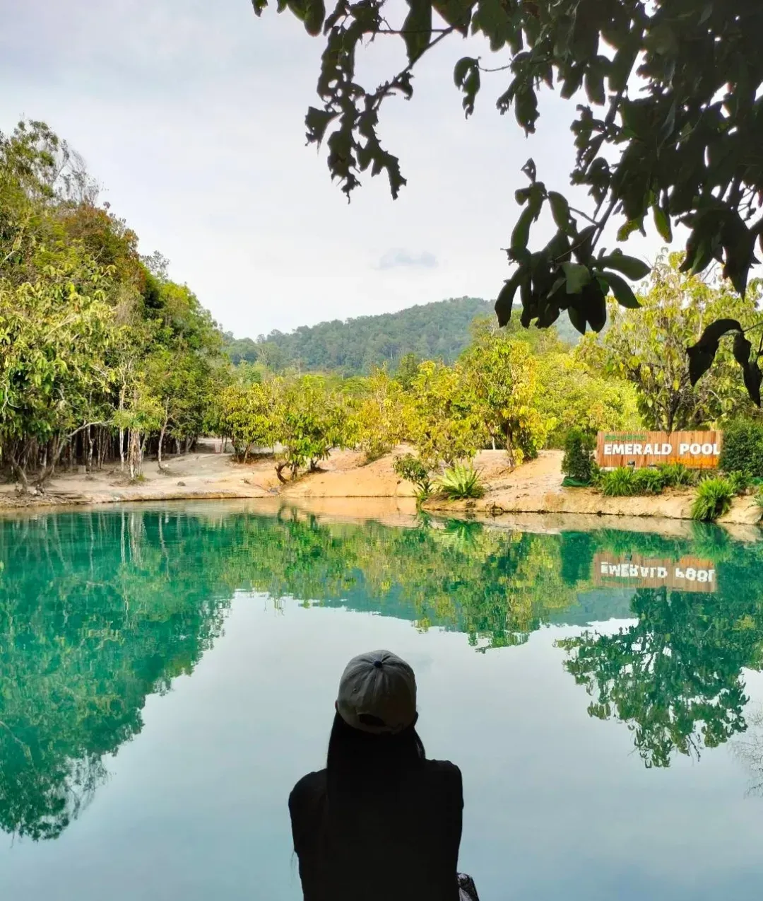 เที่ยวสระมรกต จ.กระบี่ | แกลเลอรีที่โพสต์โดย KruAor | Lemon8