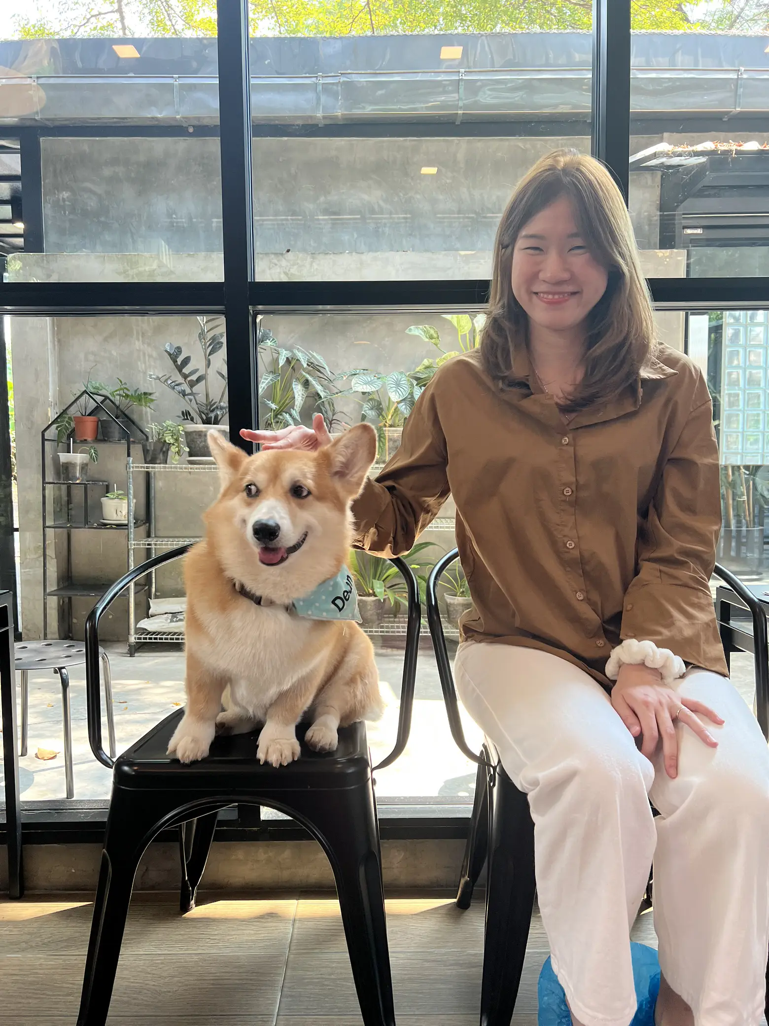 Corgi Cafe 🐶 น้องคอร์กี้น่ารักม๊ากกก 😍 | แกลเลอรีที่โพสต์โดย puifainaka | Lemon8