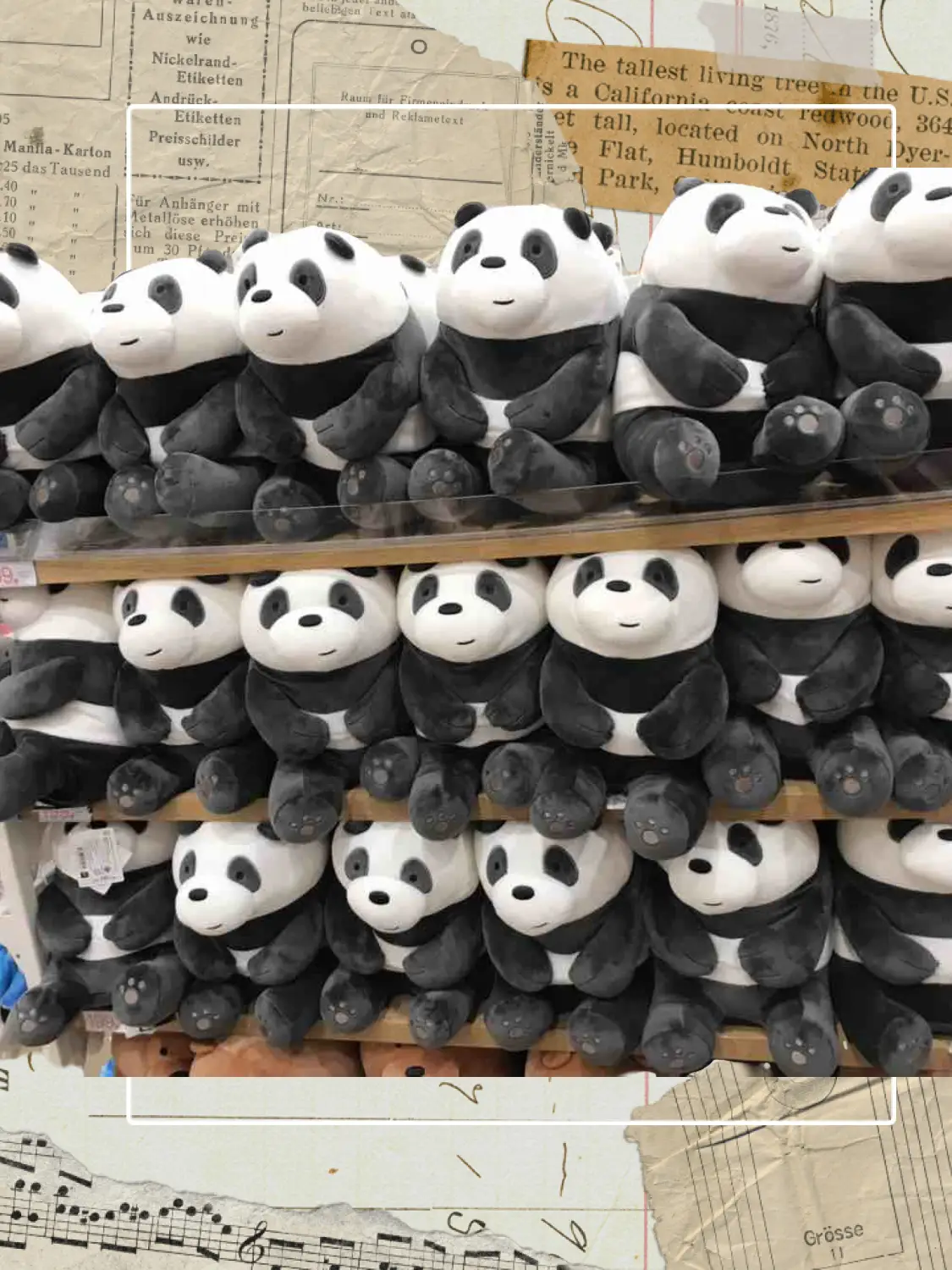 #miniso #ไอเดียของขวัญ #งบน้อย | แกลเลอรีที่โพสต์โดย Aileen VS mySON | Lemon8