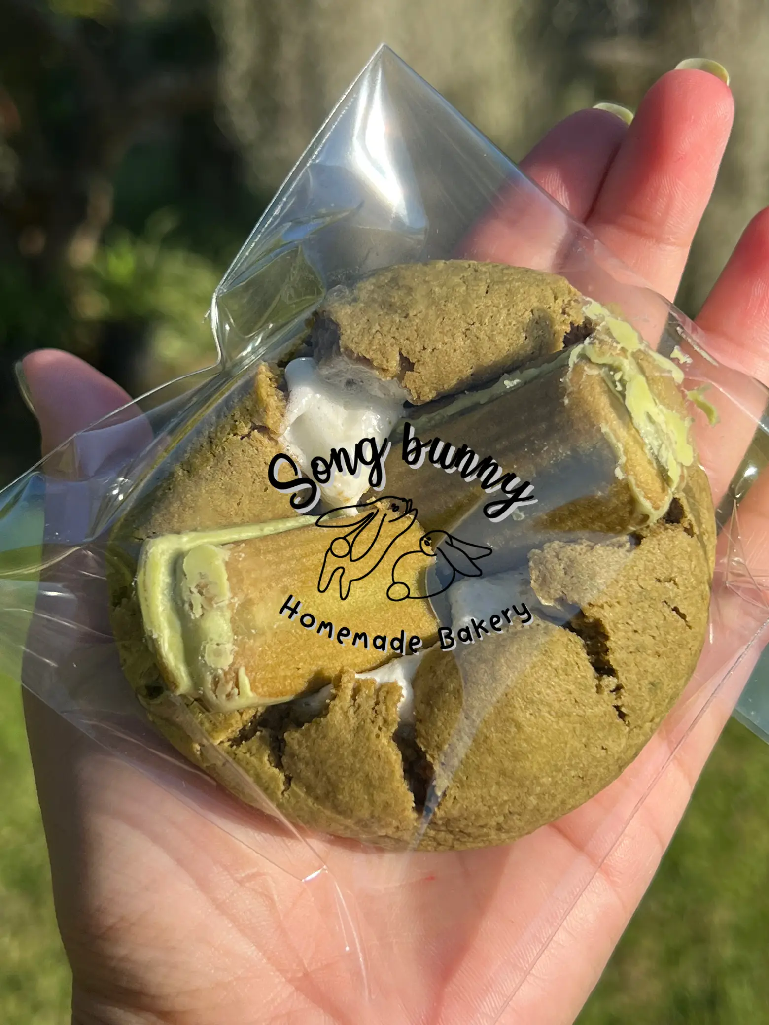 S’more soft cookies | แกลเลอรีที่โพสต์โดย s0ngbunny | Lemon8