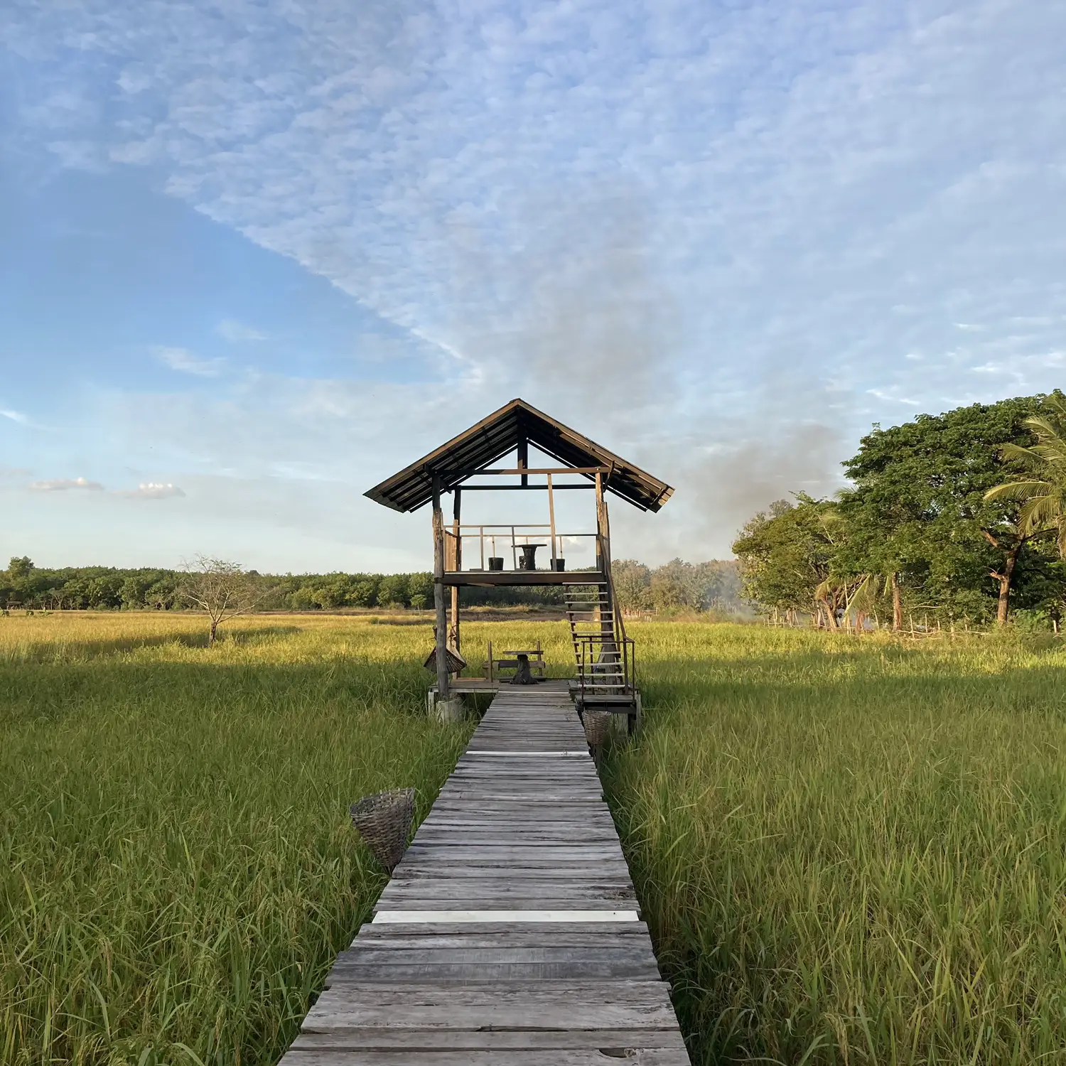 NANG NA | คาเฟ่กาฬสินธุ์•สหัสขันธ์ | แกลเลอรีที่โพสต์โดย ชอบกินมาก | Lemon8