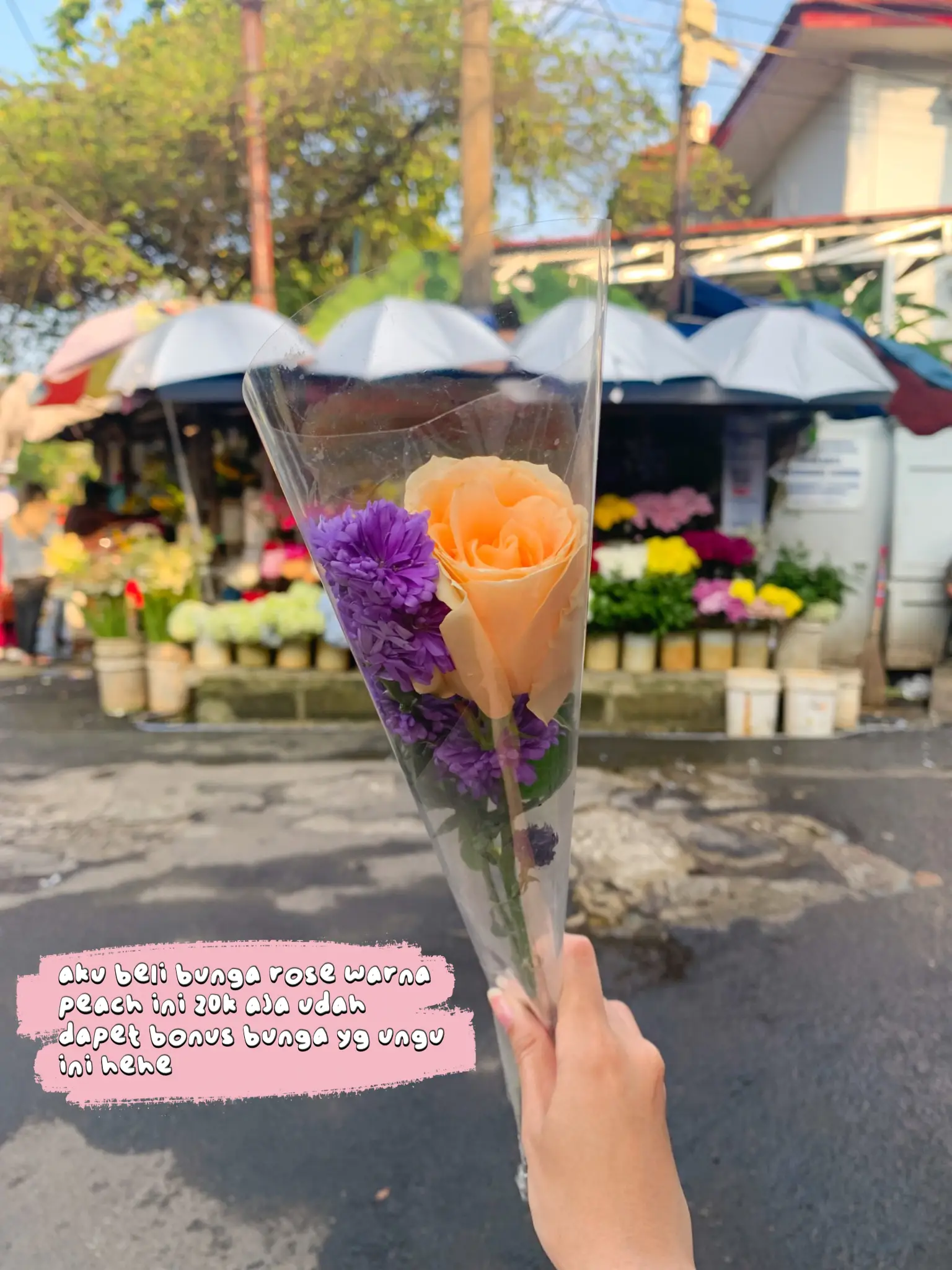 Florist Market Aesthetic Viral di Kemang 💐 | Galeri diposting oleh ...