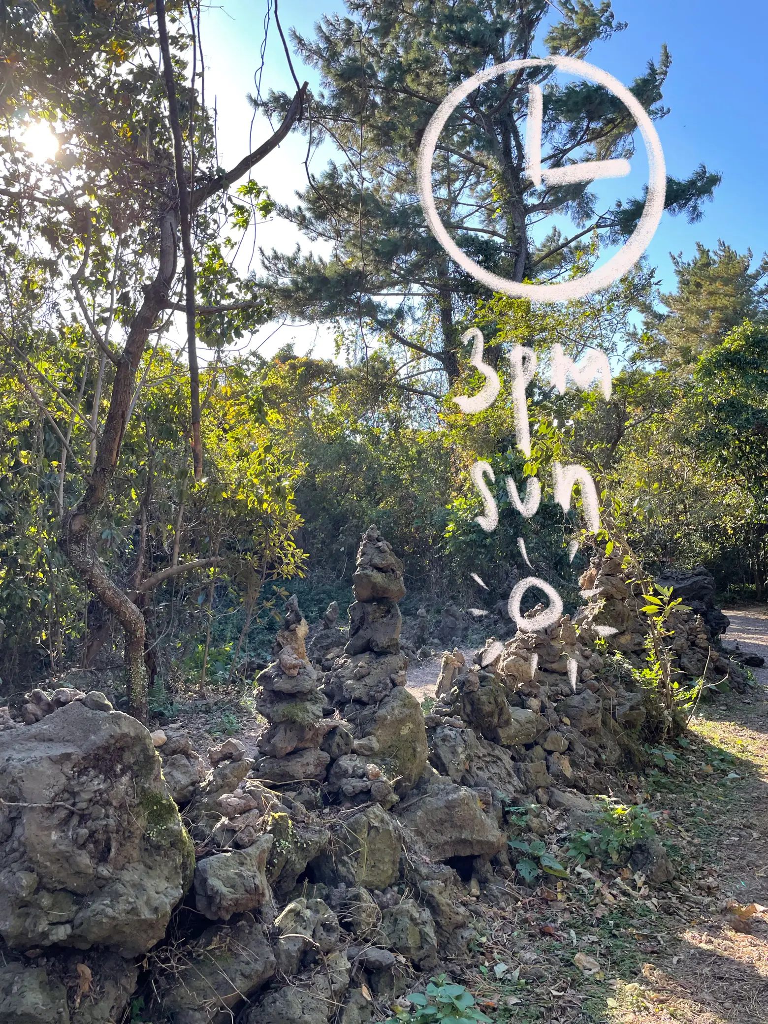 Peaceful Forest Trail: Hwansang Forest 🌳 | Gallery posted by Ethan Chan ...