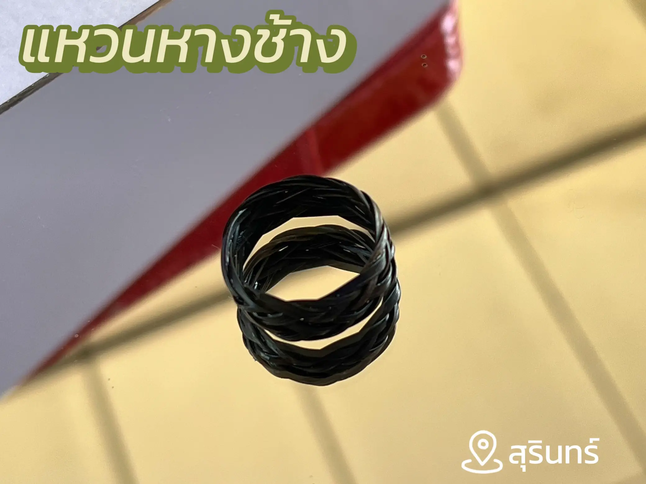 Elephant tail ring | Gallery posted by Chamaiporn Panp | Lemon8