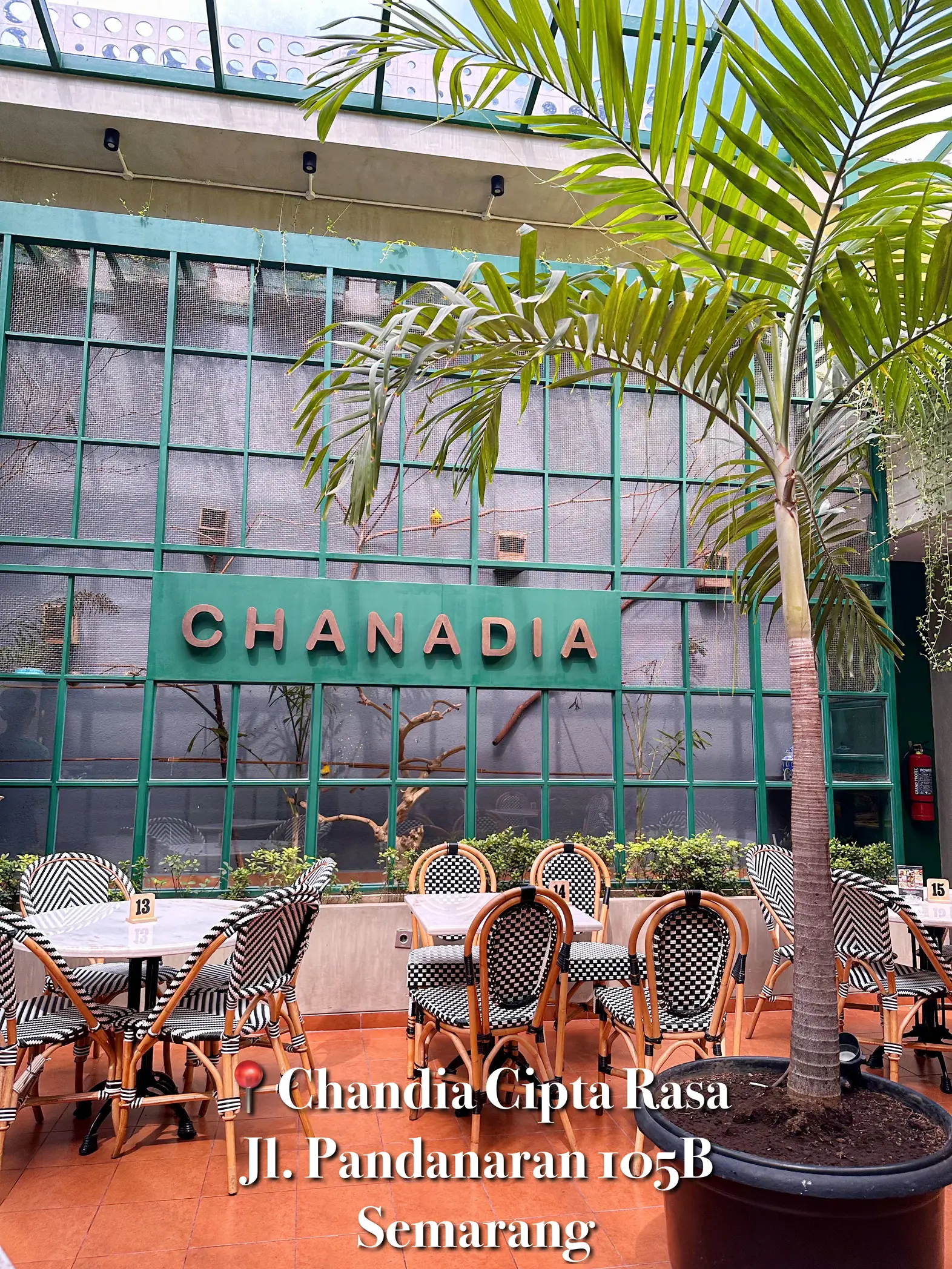 FAMILY RESTO IN SEMARANG | Galeri diposting oleh janice | Lemon8