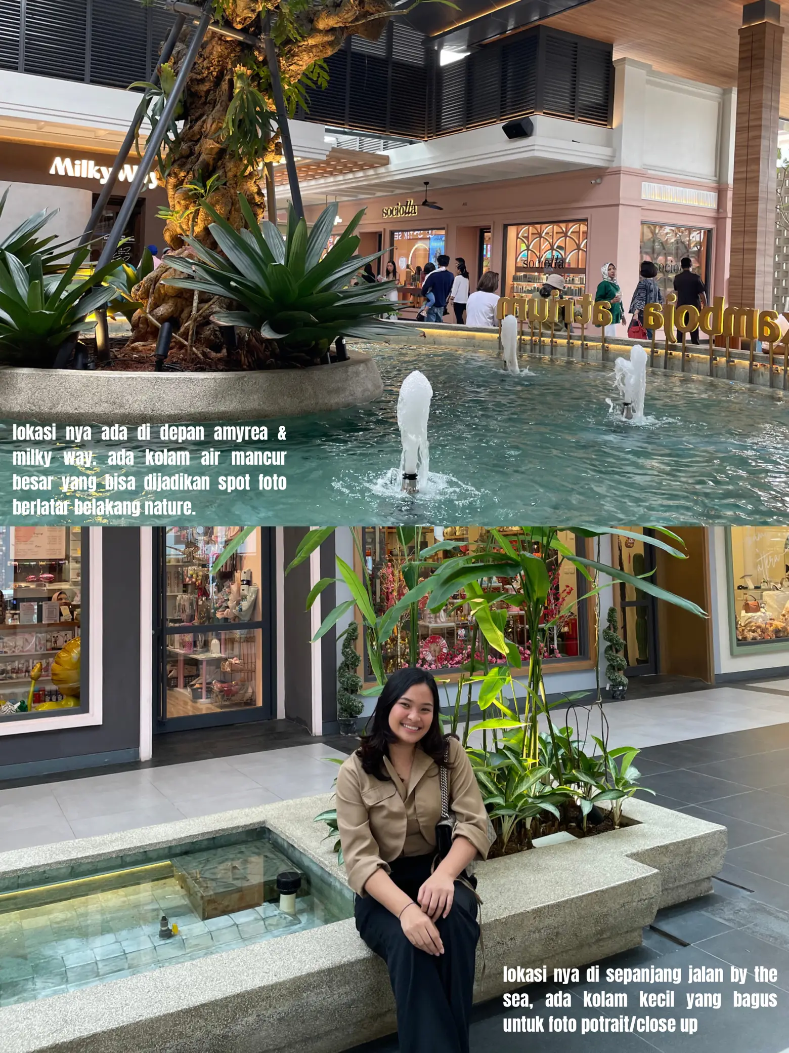 Explore Nature Spot - By The Sea PIK 🍃🌿 | แกลเลอรีที่โพสต์โดย Jennifer | Lemon8