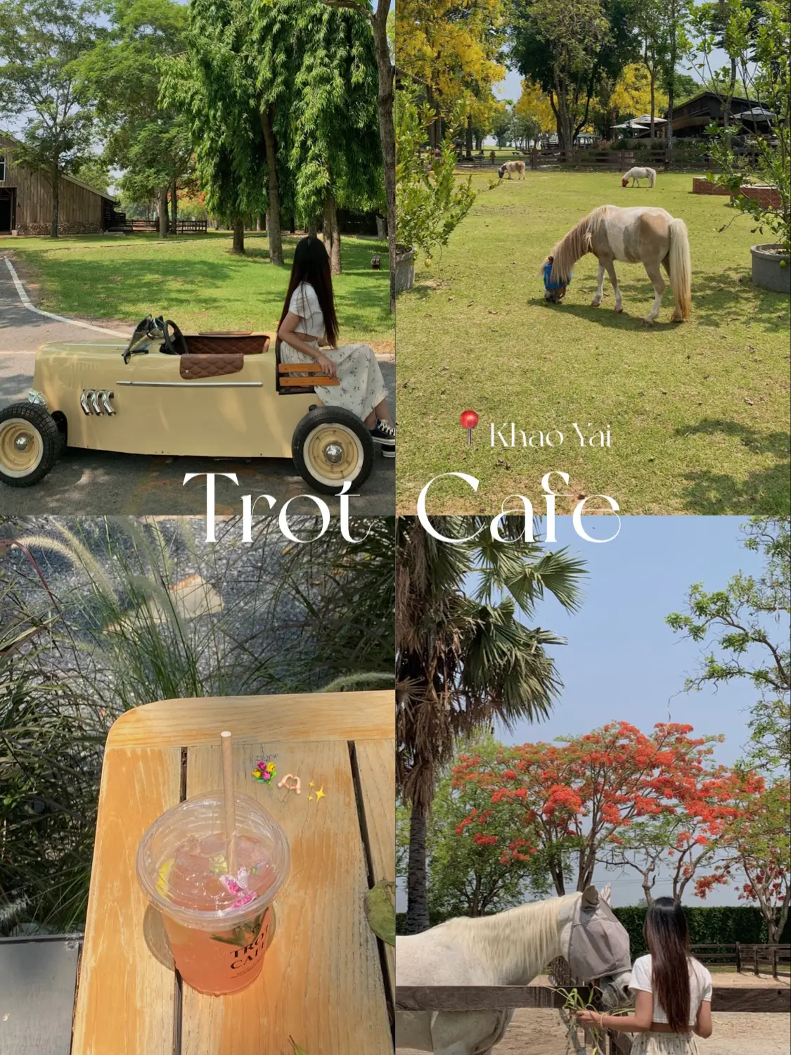 💐 Cafe : Trot Cafe Khao Yai 🌳 | แกลเลอรีที่โพสต์โดย ⠀pattheemild | Lemon8