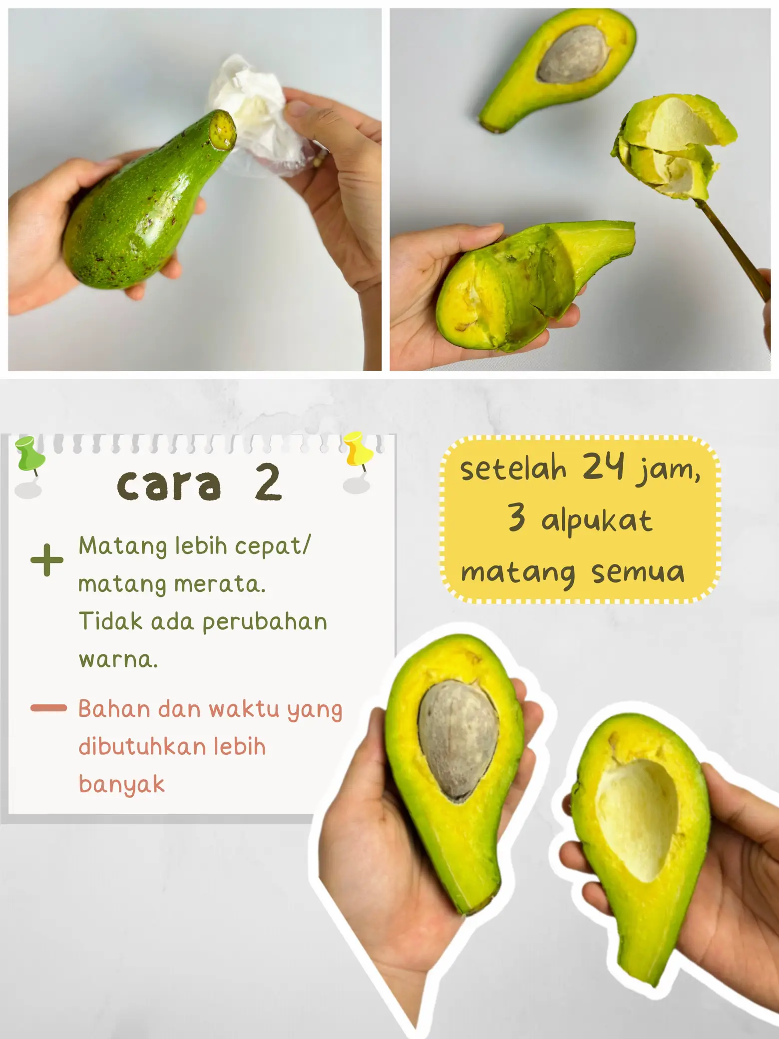2 cara mematangkan alpukat 🥑 cuma 24 jam! | Galeri diposting oleh Hasna ...