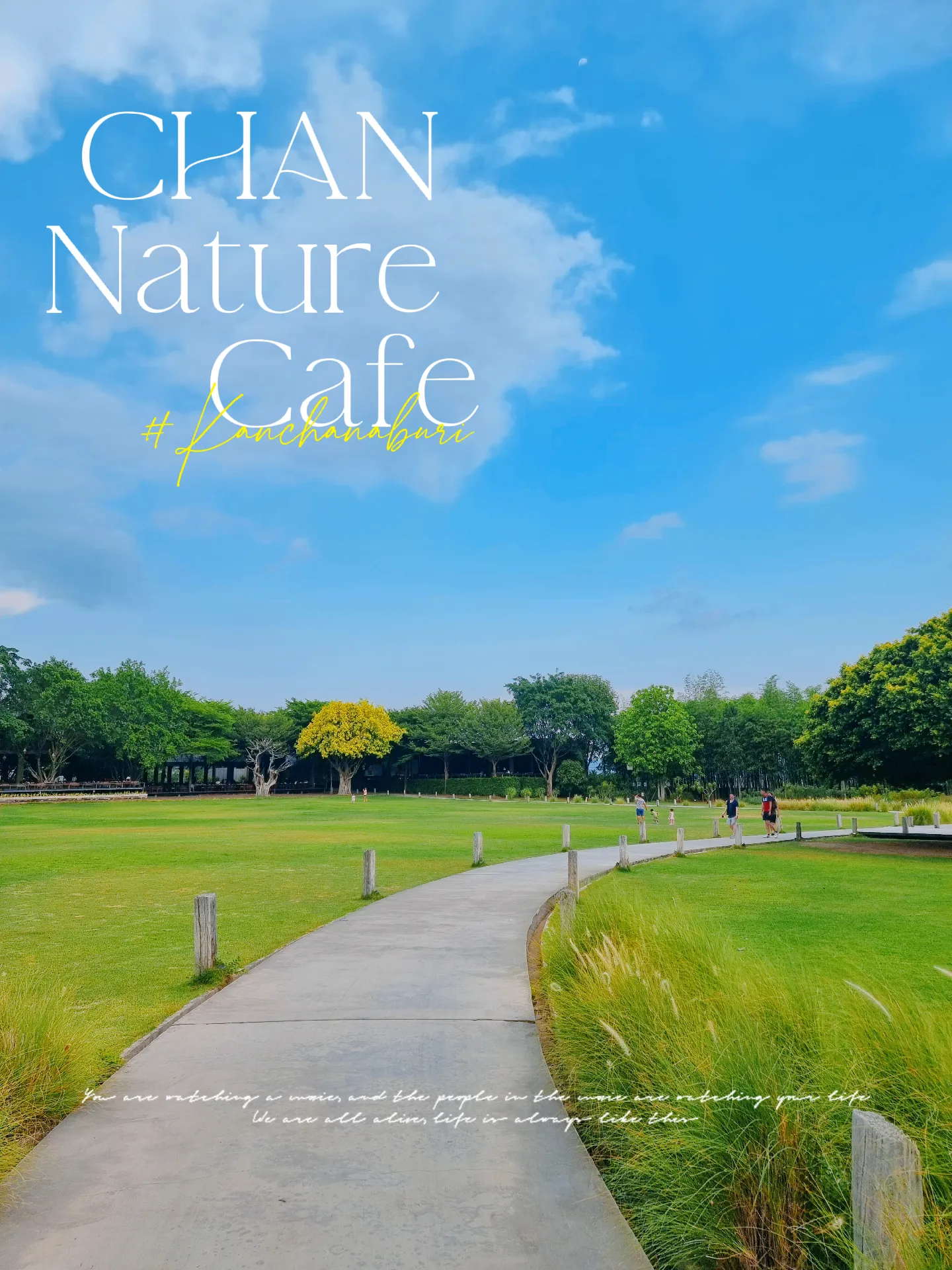 CHAN Nature Cafe #กาญจนบุรี | แกลเลอรีที่โพสต์โดย tHoY | Lemon8