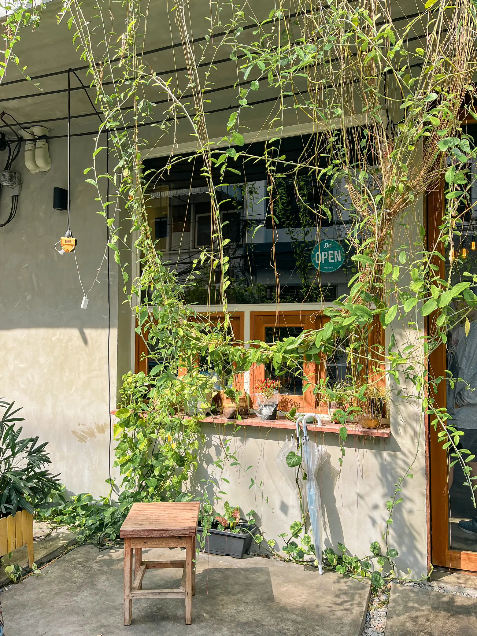 Under Home Cafe, TAIBAN CAFE BKK | Gallery posted by Ruji_pat | Lemon8