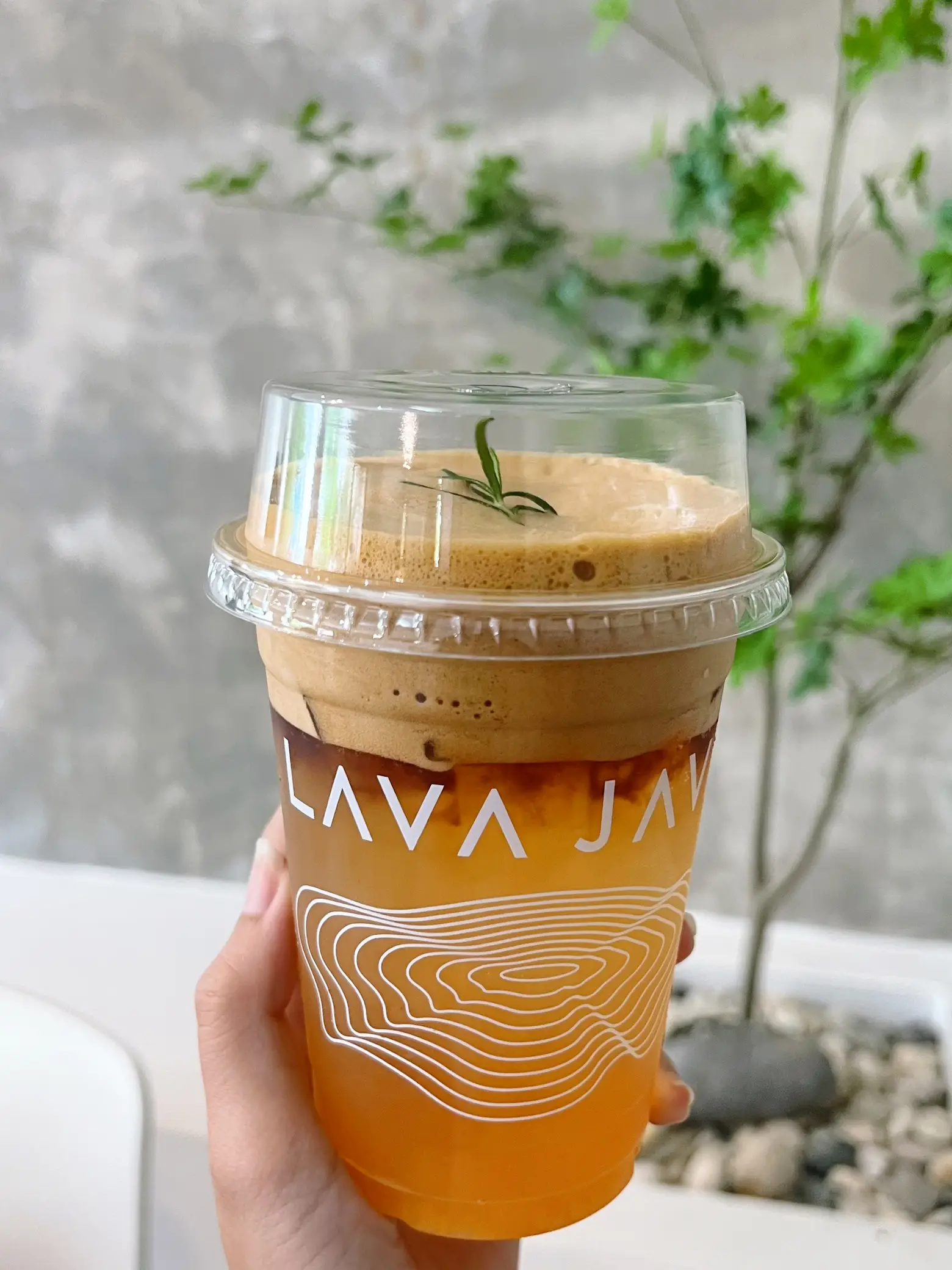 Lava Java Coffee Roasters คาเฟ่อุบล ☕️🥐 | แกลเลอรีที่โพสต์โดย เอ๋ยเอ้ย ...
