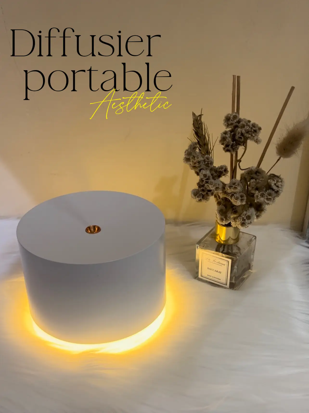 Humidifier Diffuser Portable | Video dipublikasikan oleh Myhome 🧚🏻‍♀️ | Lemon8
