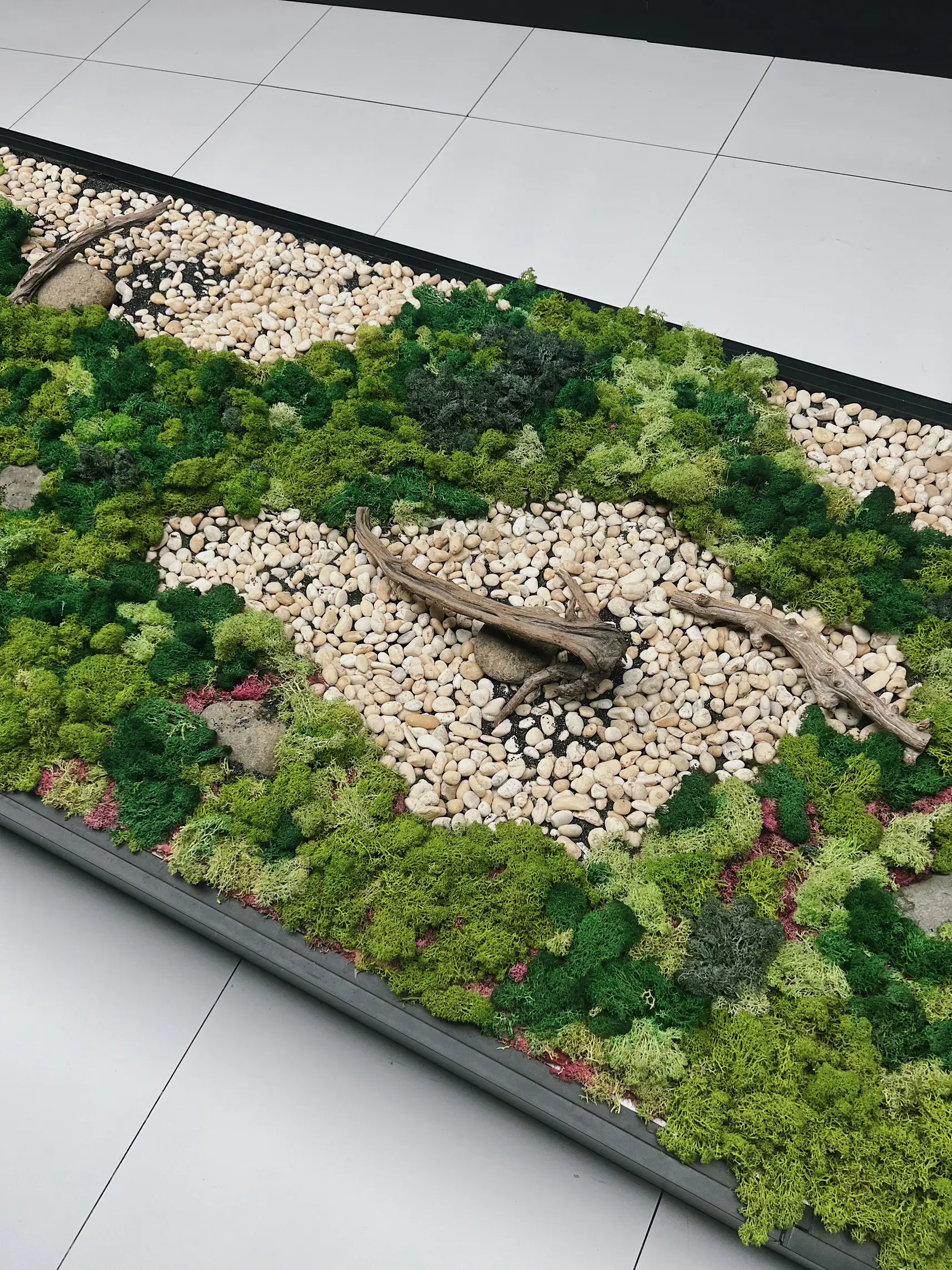 Thứ Bạn Đang Tìm Là Hơn Cả 1 Ly Cafe | Bộ sưu tập do Múi Múi 🍑 đăng | Lemon8