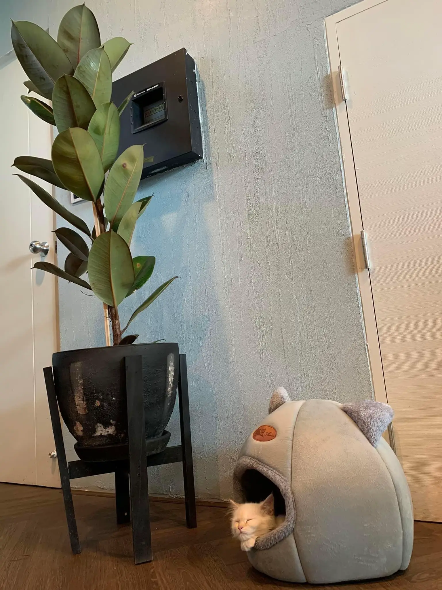 STAND ALONE คาเฟ่ที่มีแง้ว | แกลเลอรีที่โพสต์โดย khuncha | Lemon8