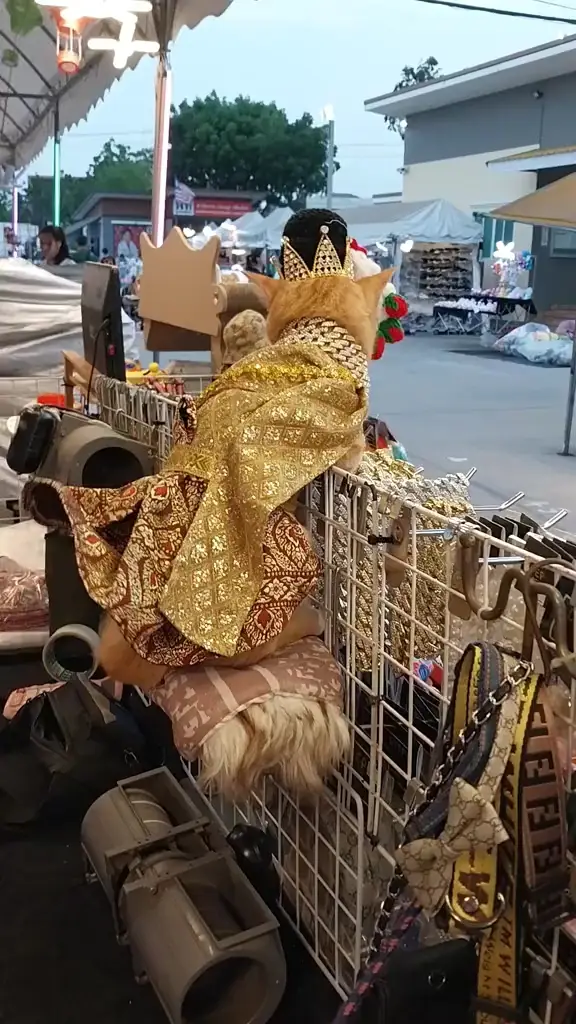 ได้กลิ่นความรวย | วิดีโอที่เผยแพร่โดย ReStart | Lemon8