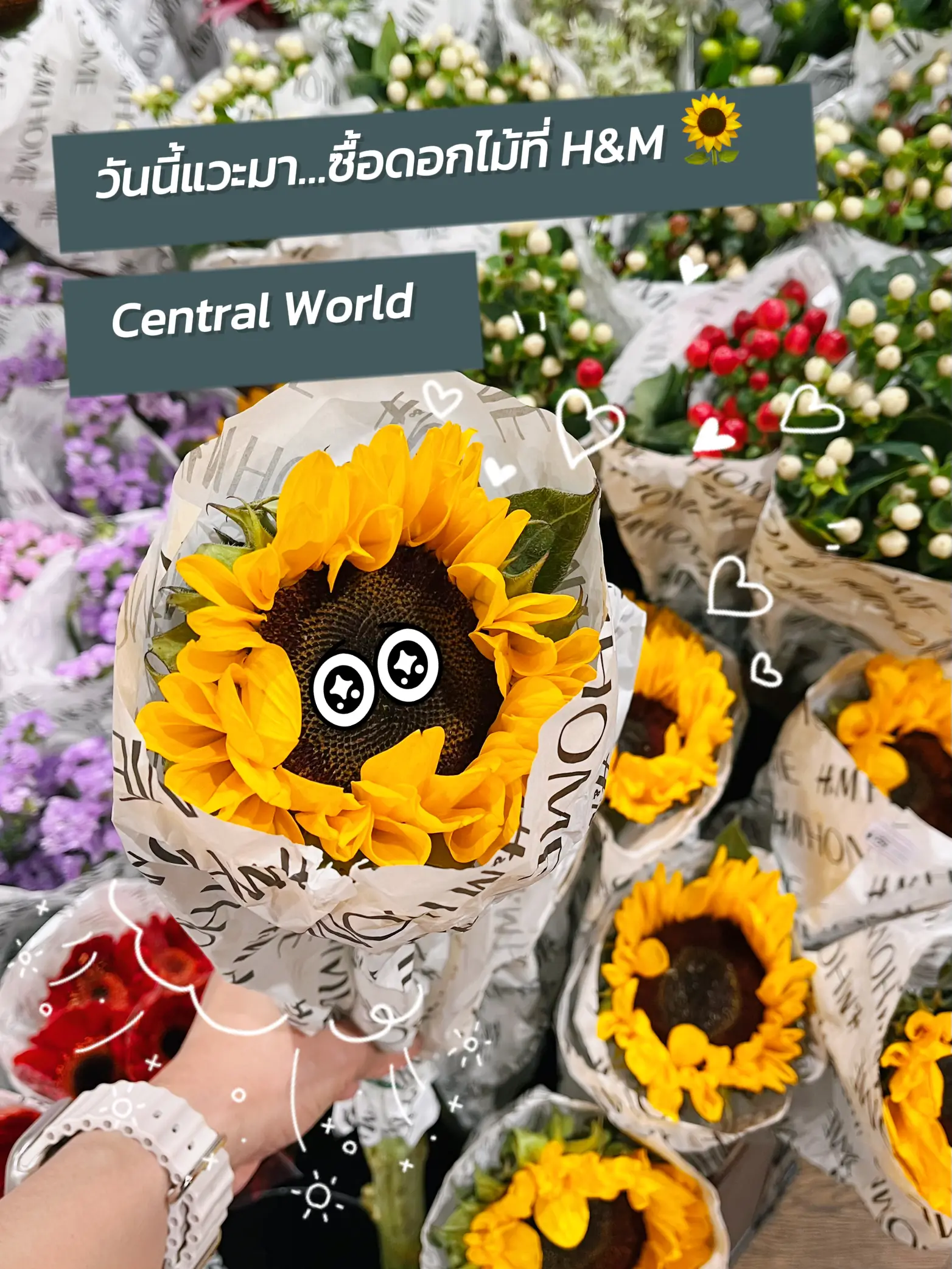 วันนี้แวะมา…ซื้อดอกไม้ที่ H&M 🌻 Central World 🍃 | แกลเลอรีที่โพสต์โดย ...