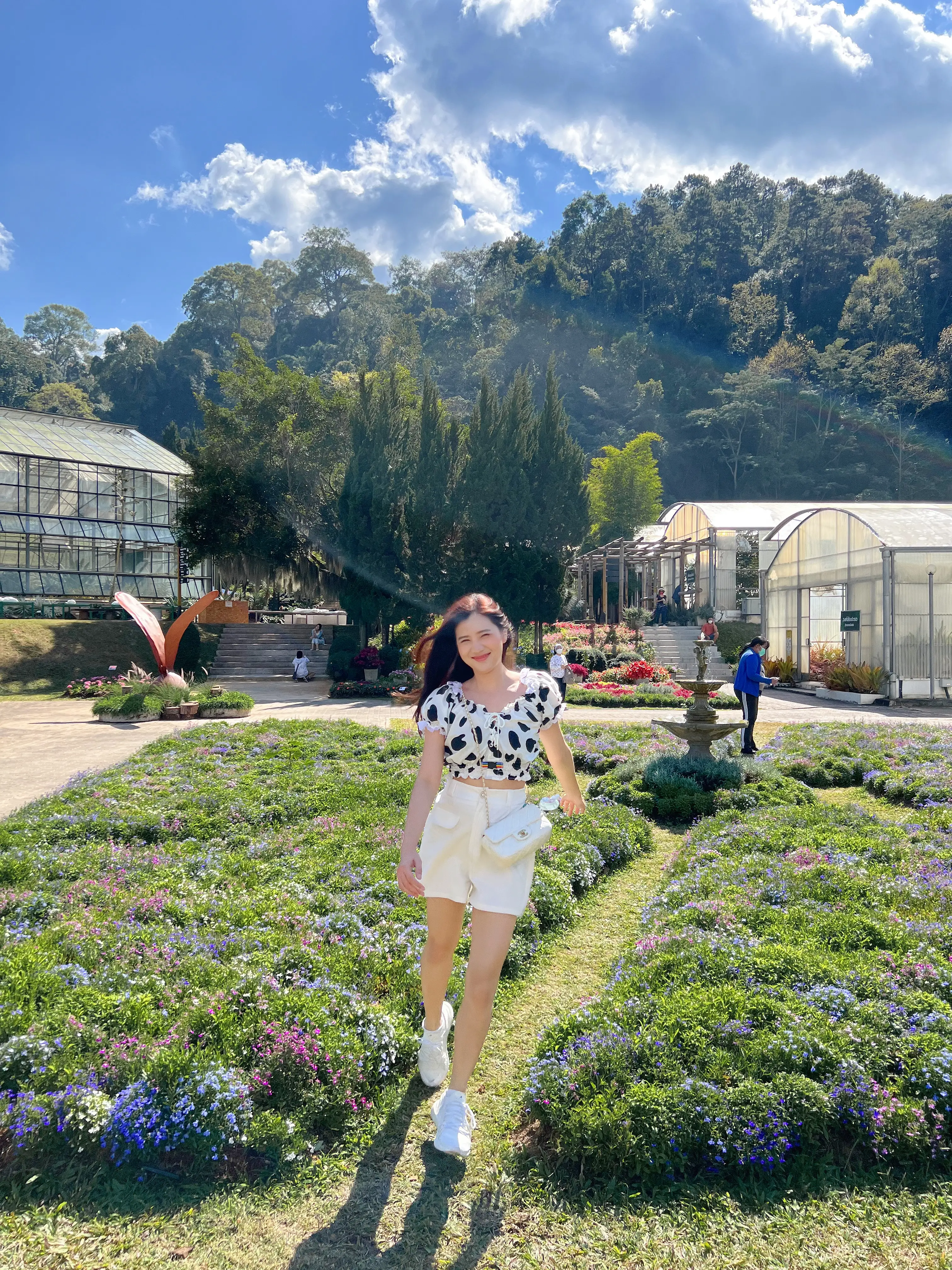 ไปเดินเล่นบนทางเดินลอยฟ้า Canopy walkway | แกลเลอรีที่โพสต์โดย Bdyz ...