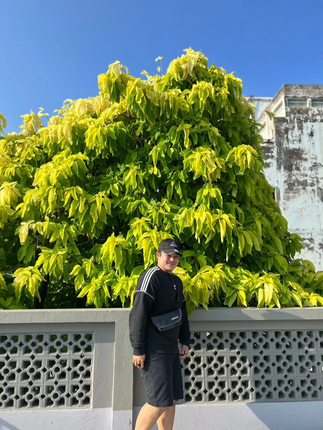 "Hidden Lab" คาเฟ่สุดว้าวในแถบบางแสน สวยจนต้องซ้ำ | แกลเลอรีที่โพสต์โดย Lyun_ Pakorn | Lemon8