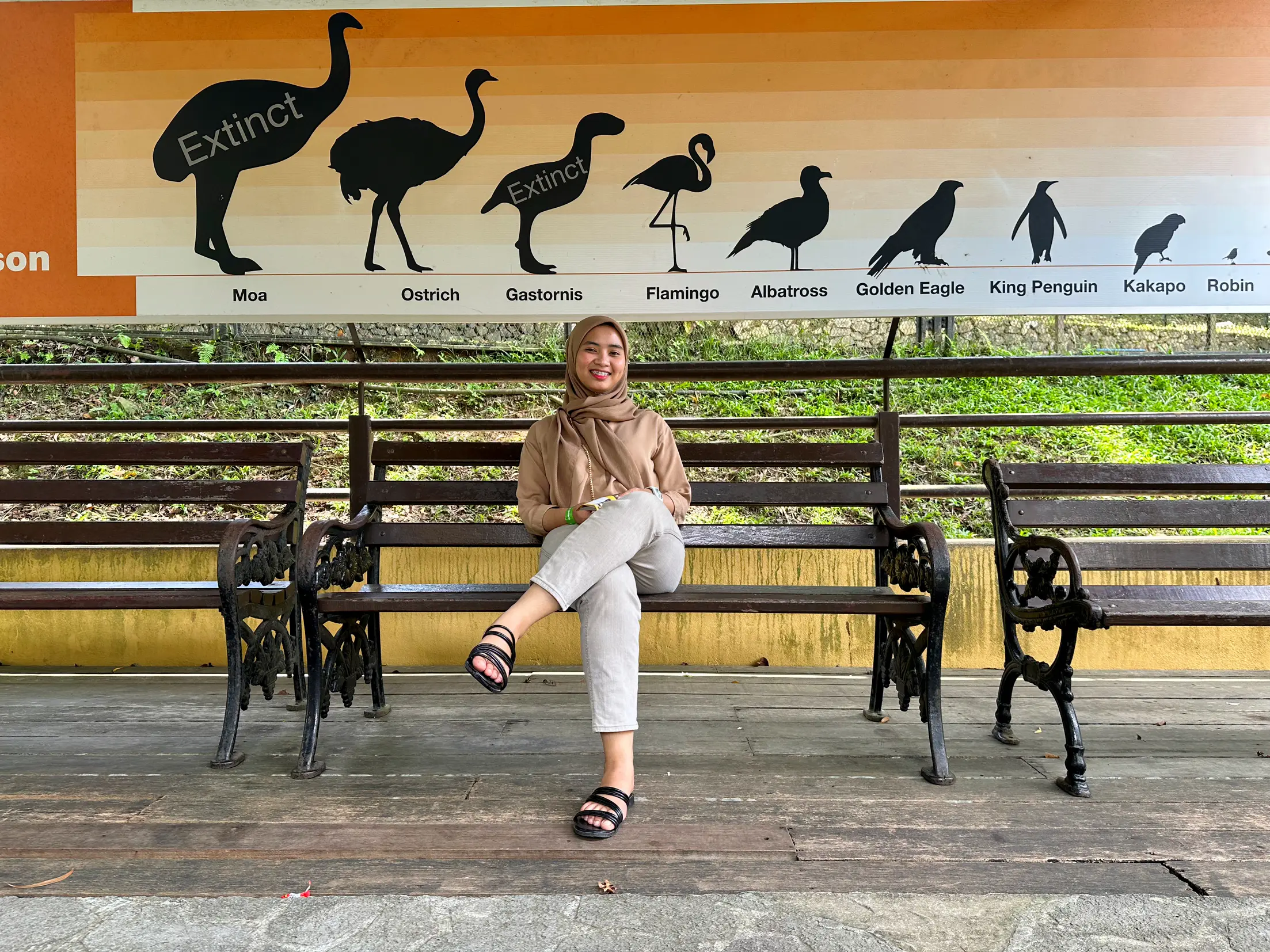 KL Bird Park | Galeri disiarkan oleh Nasuha Wahid II | Lemon8