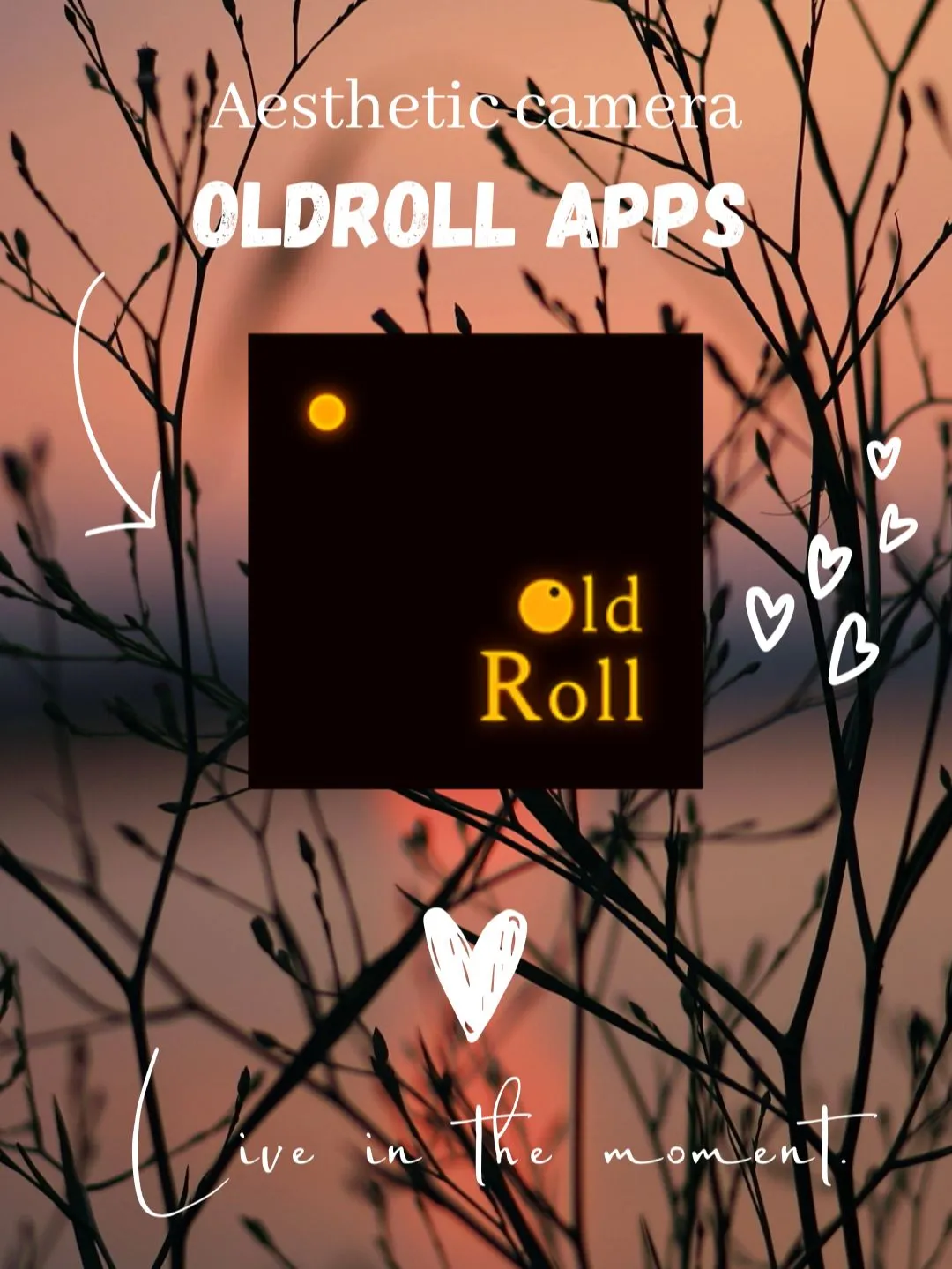 recommended aesthetic oldroll cam apps u must have | แกลเลอรีที่โพสต์โดย lalis. | Lemon8