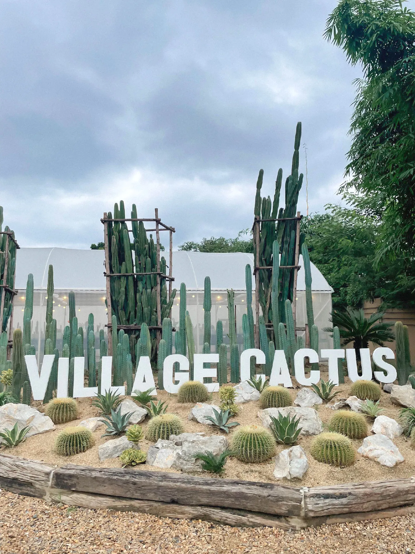 ザ・ビレッジ・ファーマーズ・ のビレッジ・🌵・ニュー・ゾーン🌞 | thita.p__98が投稿したフォトブック | Lemon8