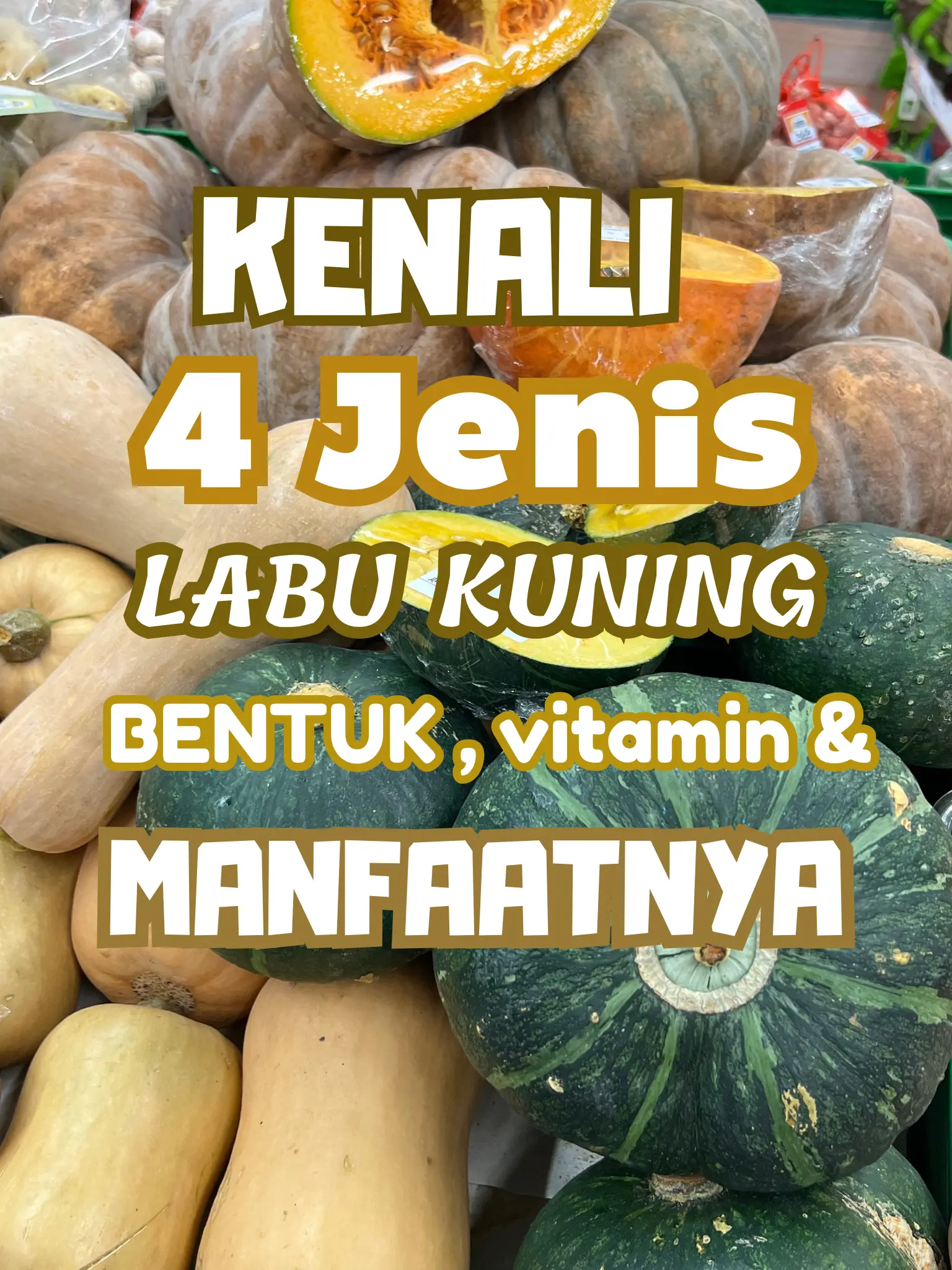 Yuk kenali macam macam bentuk dari labu kuning | Galeri diposting oleh zheazee | Lemon8