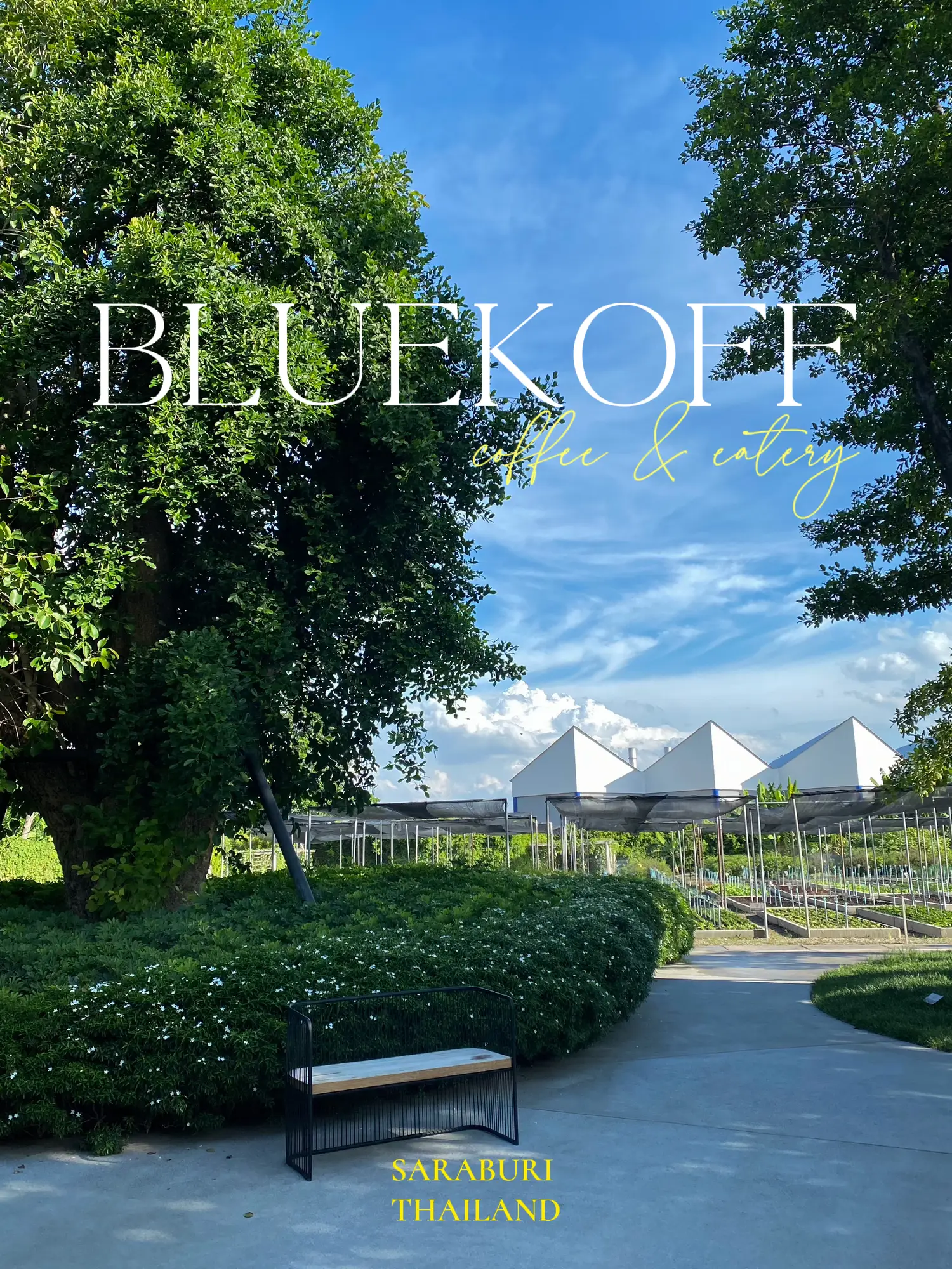 Bluekoff Coffee & Eatery | ร้านประจำ@สระบุรี🫶🏻💙 | แกลเลอรีที่โพสต์โดย bim ˘˘ | Lemon8