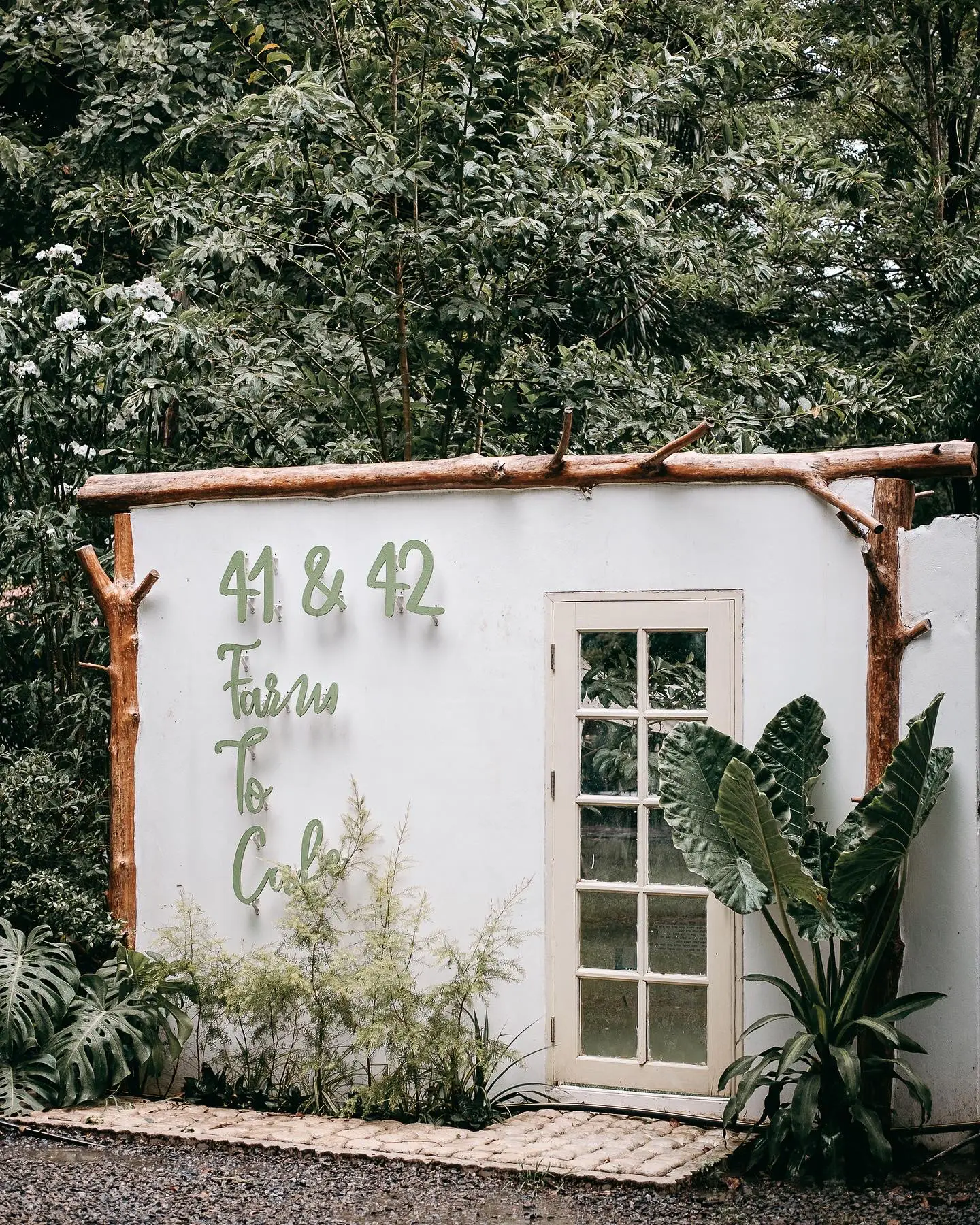 41 and 42 Farm to Cafe บรรยากาศใกล้ชิดธรรมชาติที่โคราช | แกลเลอรีที่ ...