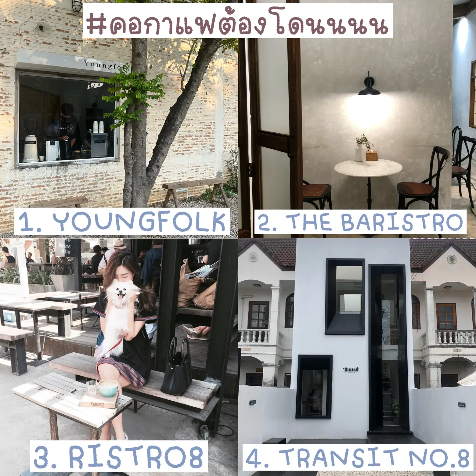 REVIEW ☕️คาเฟ่เชียงใหม่ | แกลเลอรีที่โพสต์โดย dear chatnapa | Lemon8