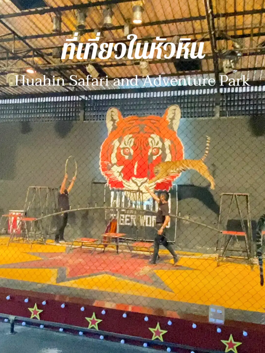 สวนสัตว์ที่หัวหิน Huahin Safari & Adventure Park | วิดีโอที่เผยแพร่โดย nownc | Lemon8