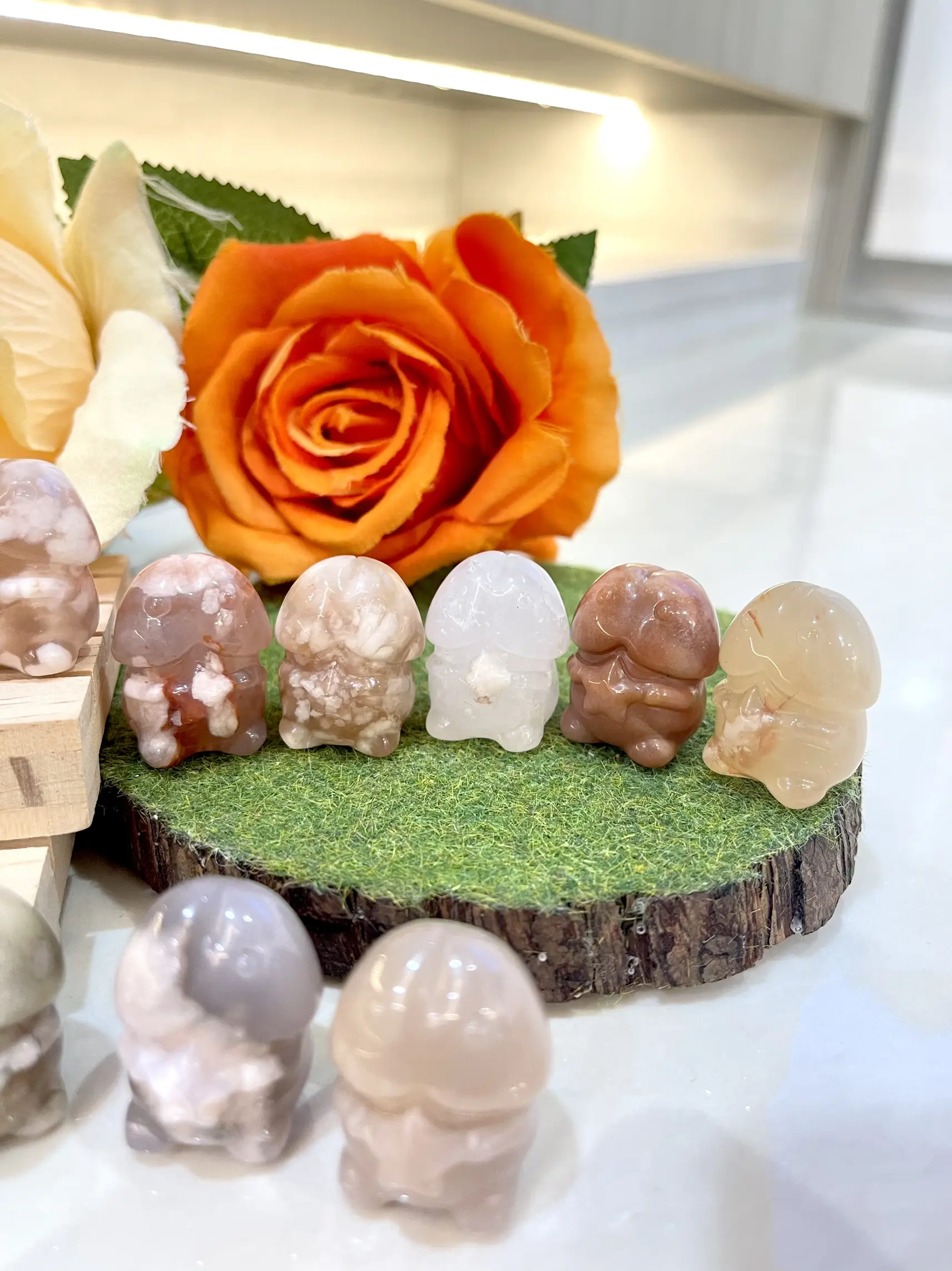 Ding ding! | Gallery posted by Lulucrystalsx | Lemon8