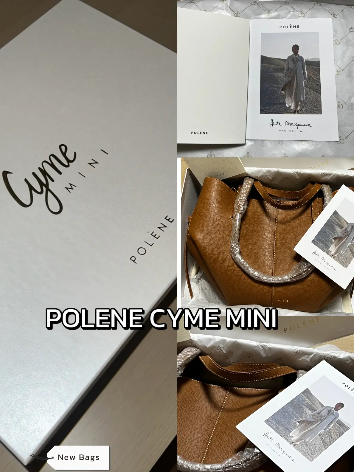 Polene korea - การค้นหาใน Lemon8
