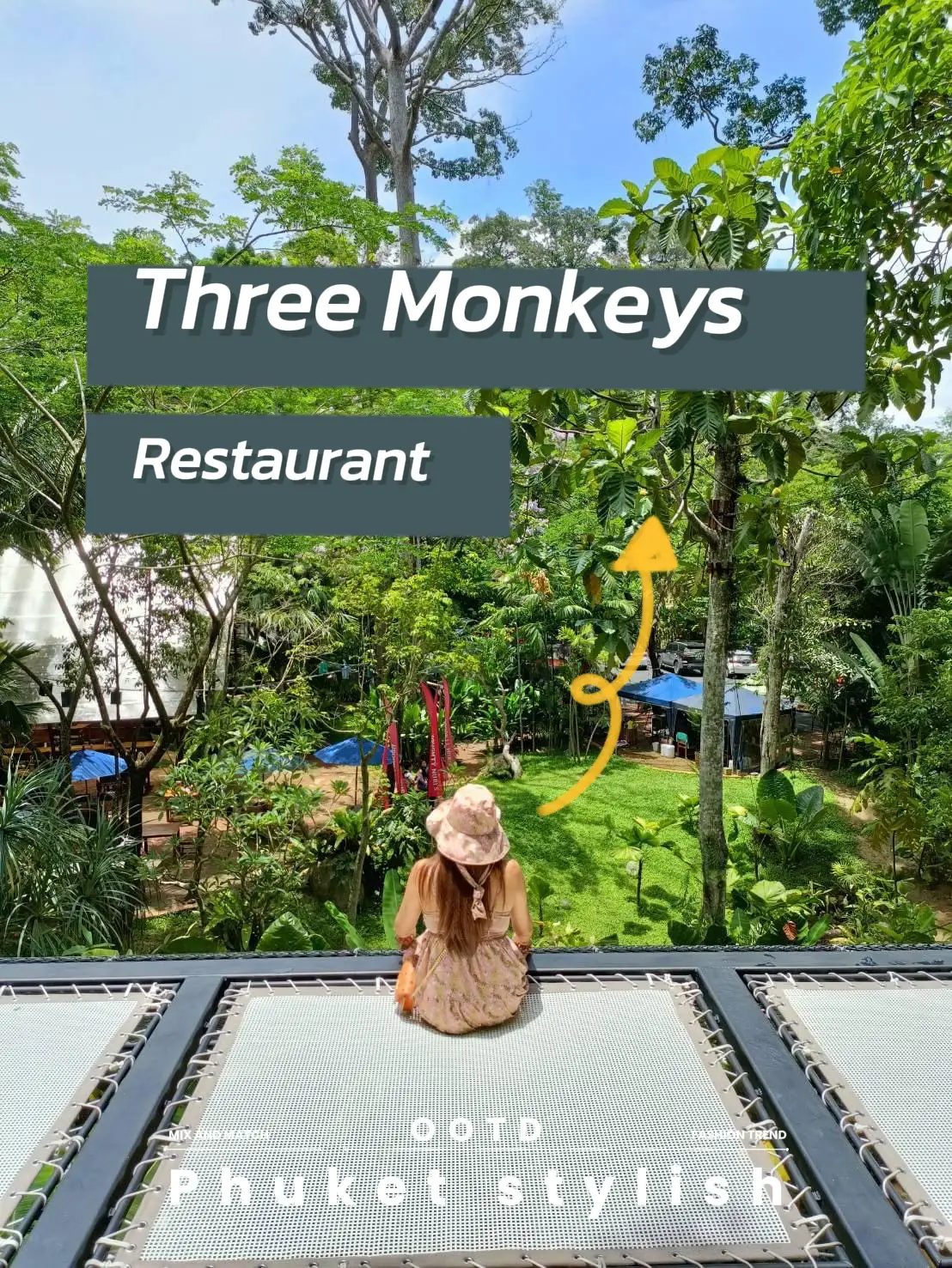 Tree Monkey @ Phuket | แกลเลอรีที่โพสต์โดย Jangjung☀️ | Lemon8