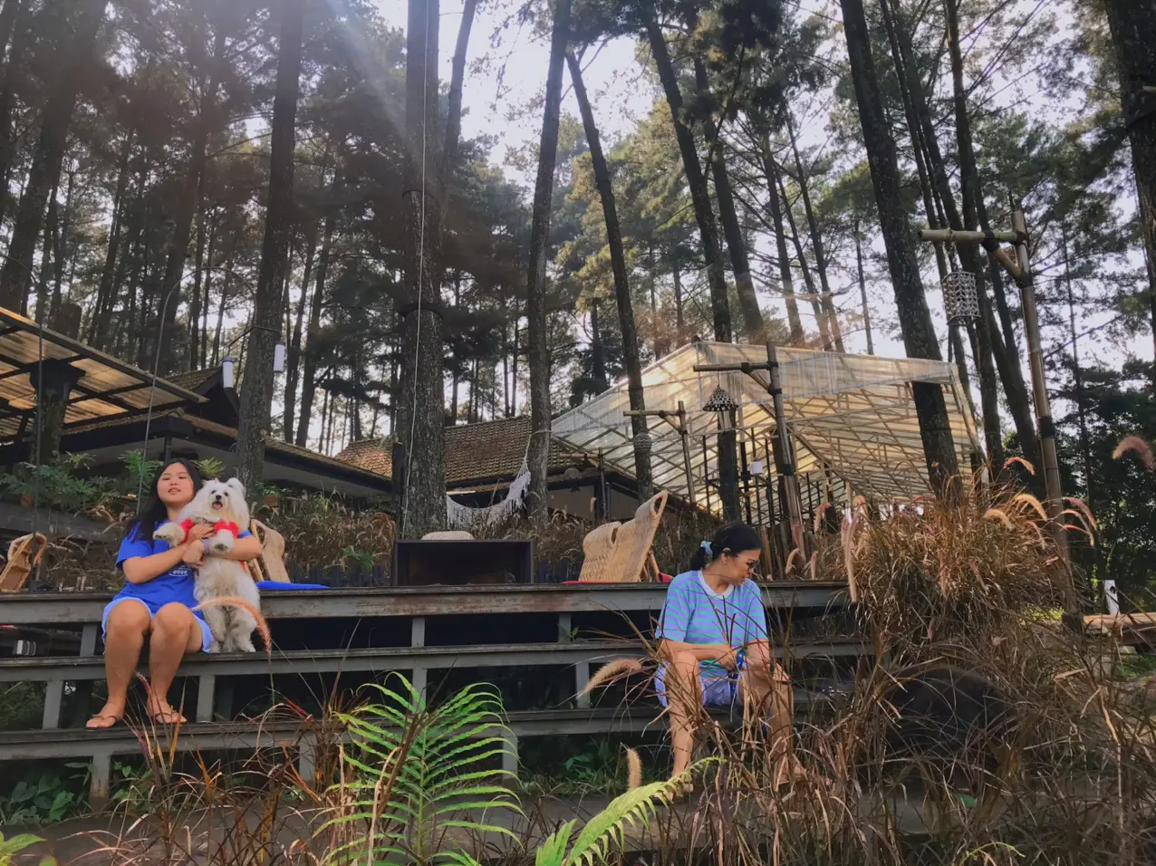 Healing with Anabul di Puncak… Playground Luas!! | Galeri diposting ...