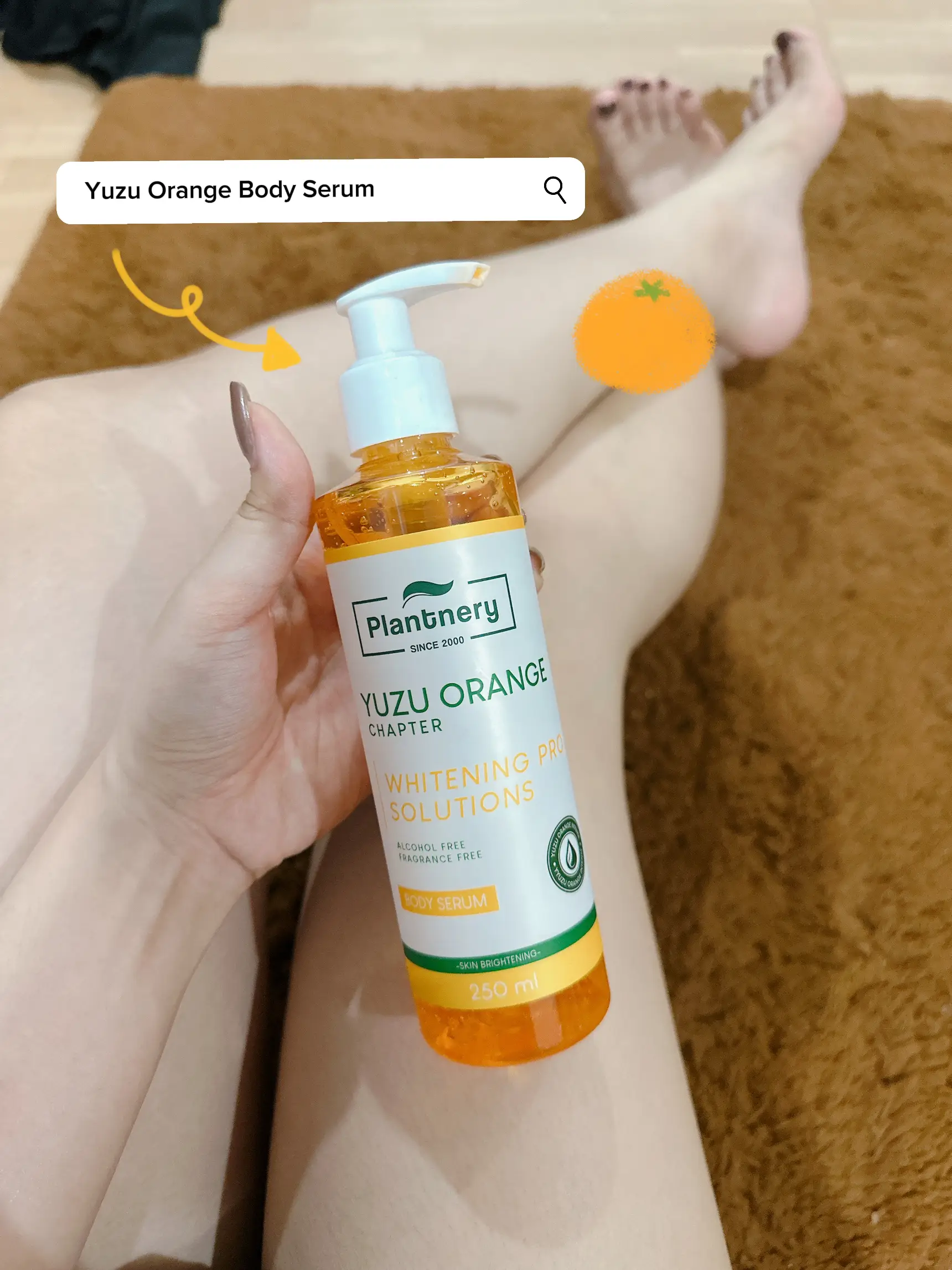 Yuzu Orange ราคา100ต้นๆ | แกลเลอรีที่โพสต์โดย ♡ PPLANG 🧸 | Lemon8