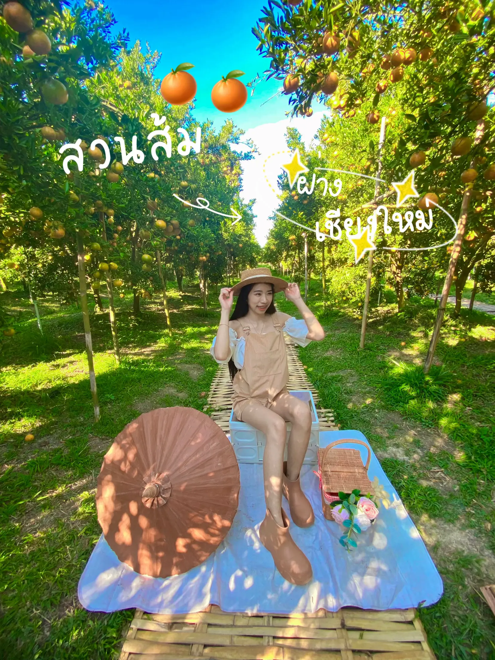 สวมส้ม จ.เชียงใหม่ 🍊 | แกลเลอรีที่โพสต์โดย Bai'Mint☘️ | Lemon8