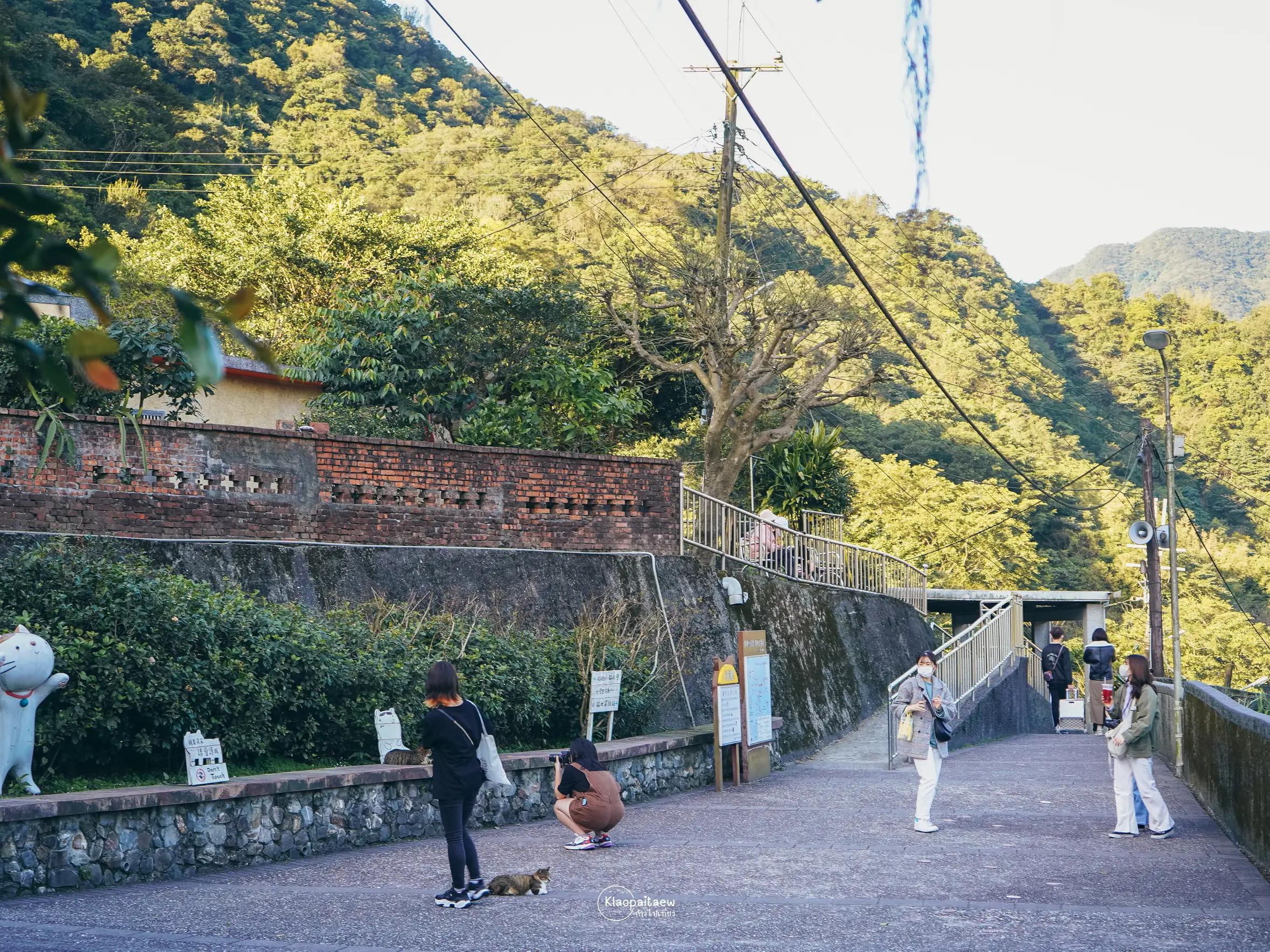 𝑯𝒐𝒖𝒕𝒐𝒏𝒈 𝑪𝒂𝒕 𝑽𝒊𝒍𝒍𝒂𝒈𝒆 , 𝐓𝐚𝐢𝐰𝐚𝐧 🐈🇹🇼🍃 | แกลเลอรีที่โพสต์โดย ก้าวไปเที่ยว ...
