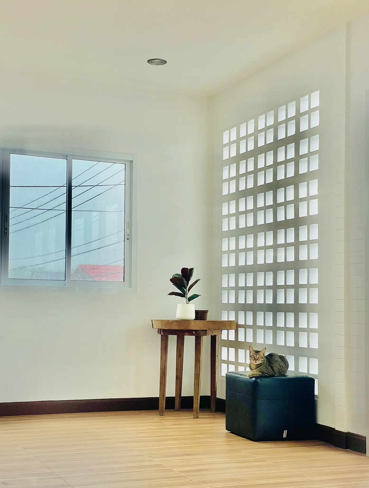 ต้นไม้ประดิษฐ์ (ต้นไม้ปลอม) เพิ่มความอบอุ่นในบ้าน | แกลเลอรีที่โพสต์โดย ...